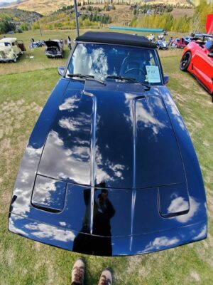 Ford Mustang-Based Python Is One Of Just 12 In Existence | Carscoops