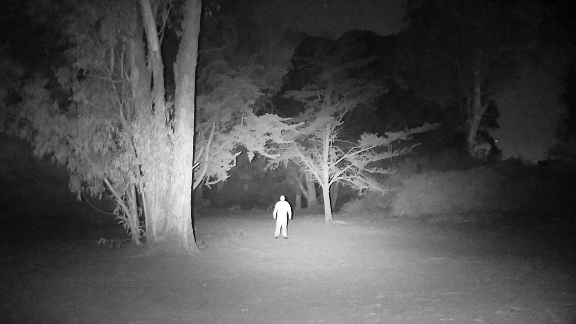 These Are The World’s First Visible And Infrared Laser Headlights For ...