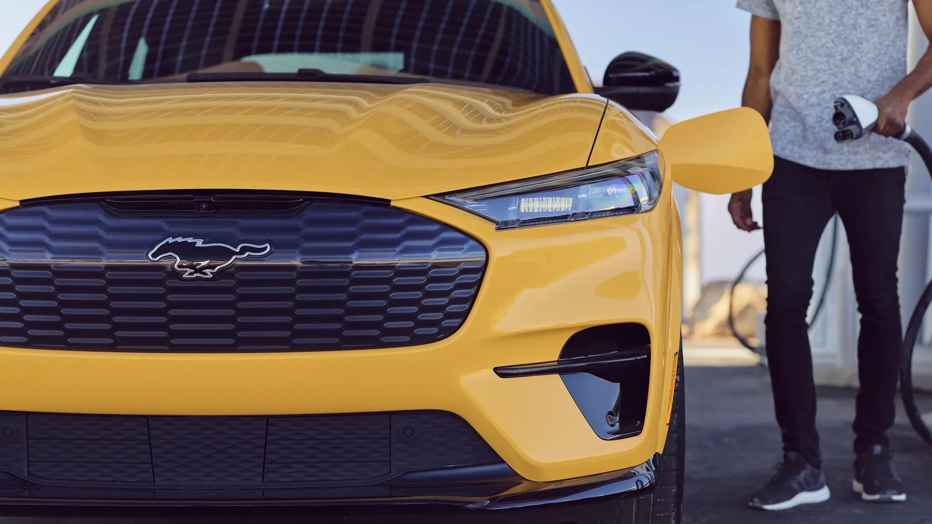 Ford’s New LFP Batteries Will Only Be Fitted To Standard Range EVs ...