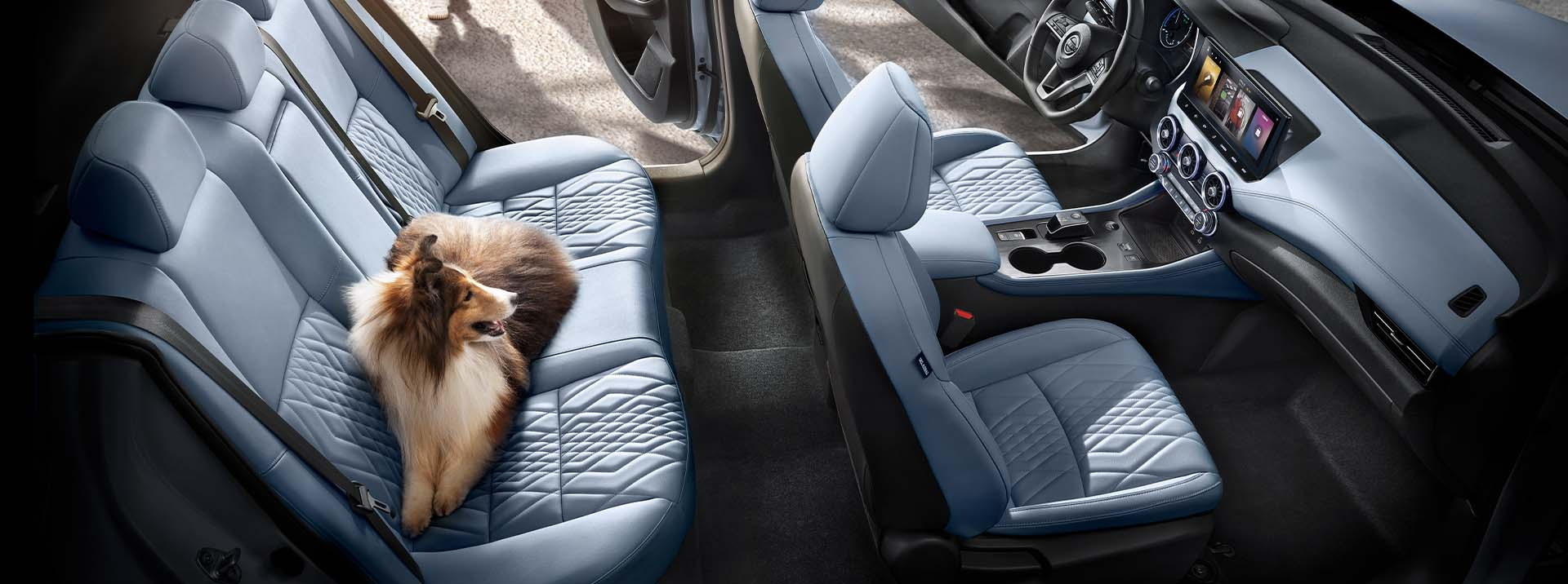 2024 Nissan Sentra Facelift Previewed By China’s Updated Sylphy | Carscoops