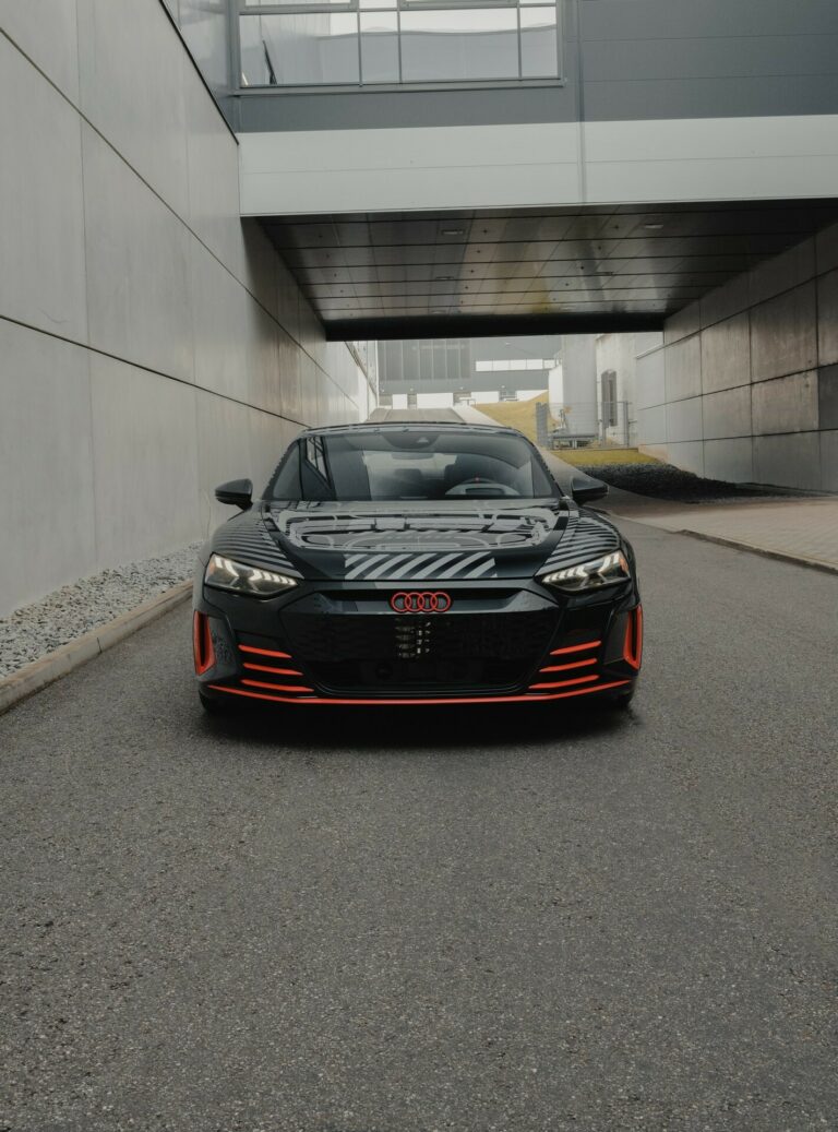 Audi RS E-tron GT Project_513/2: A Camo’d Special Edition Mimicking The ...