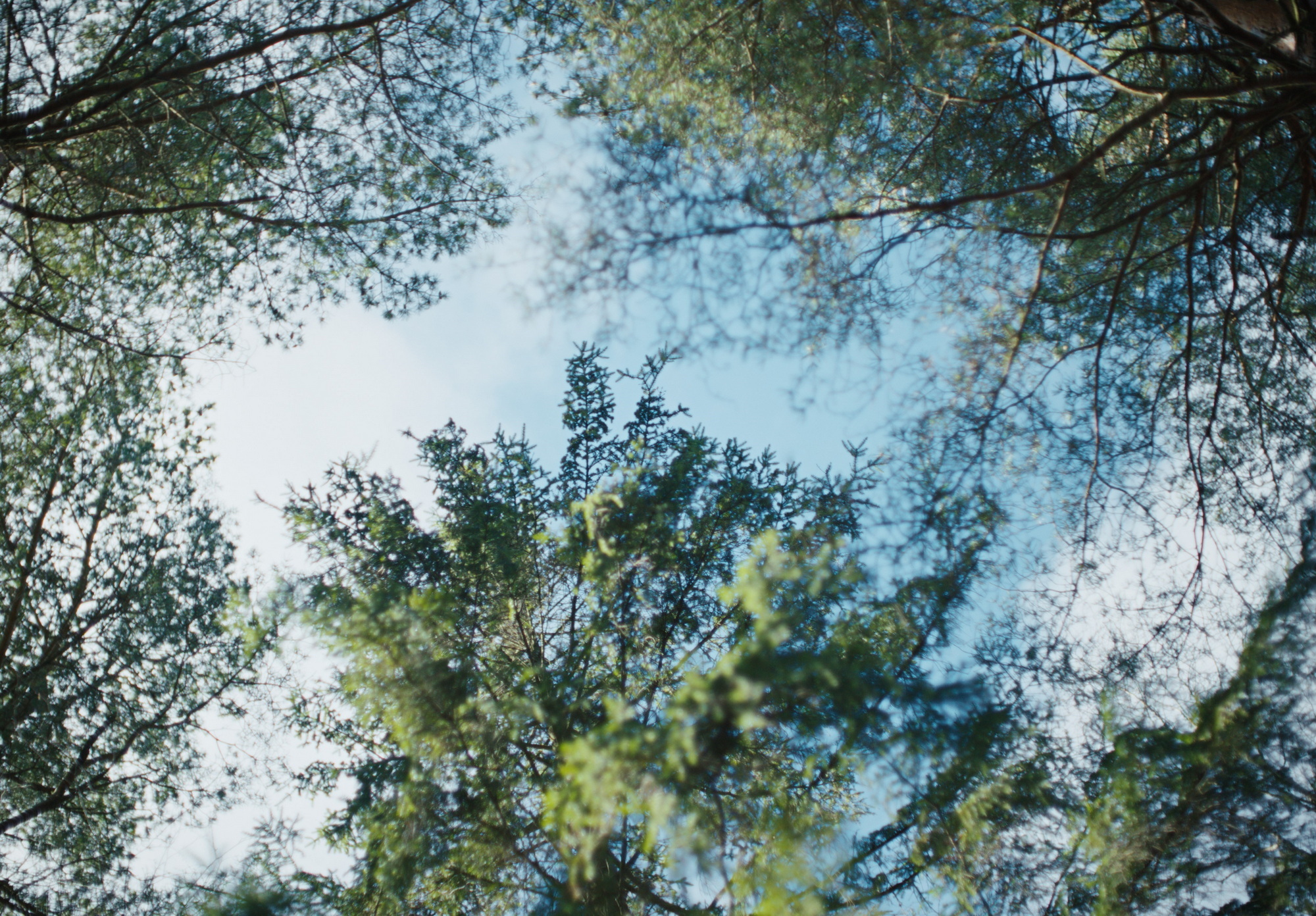 Volvo EX90 Electric SUV Will Bring The Sun Inside With SunLike LED ...