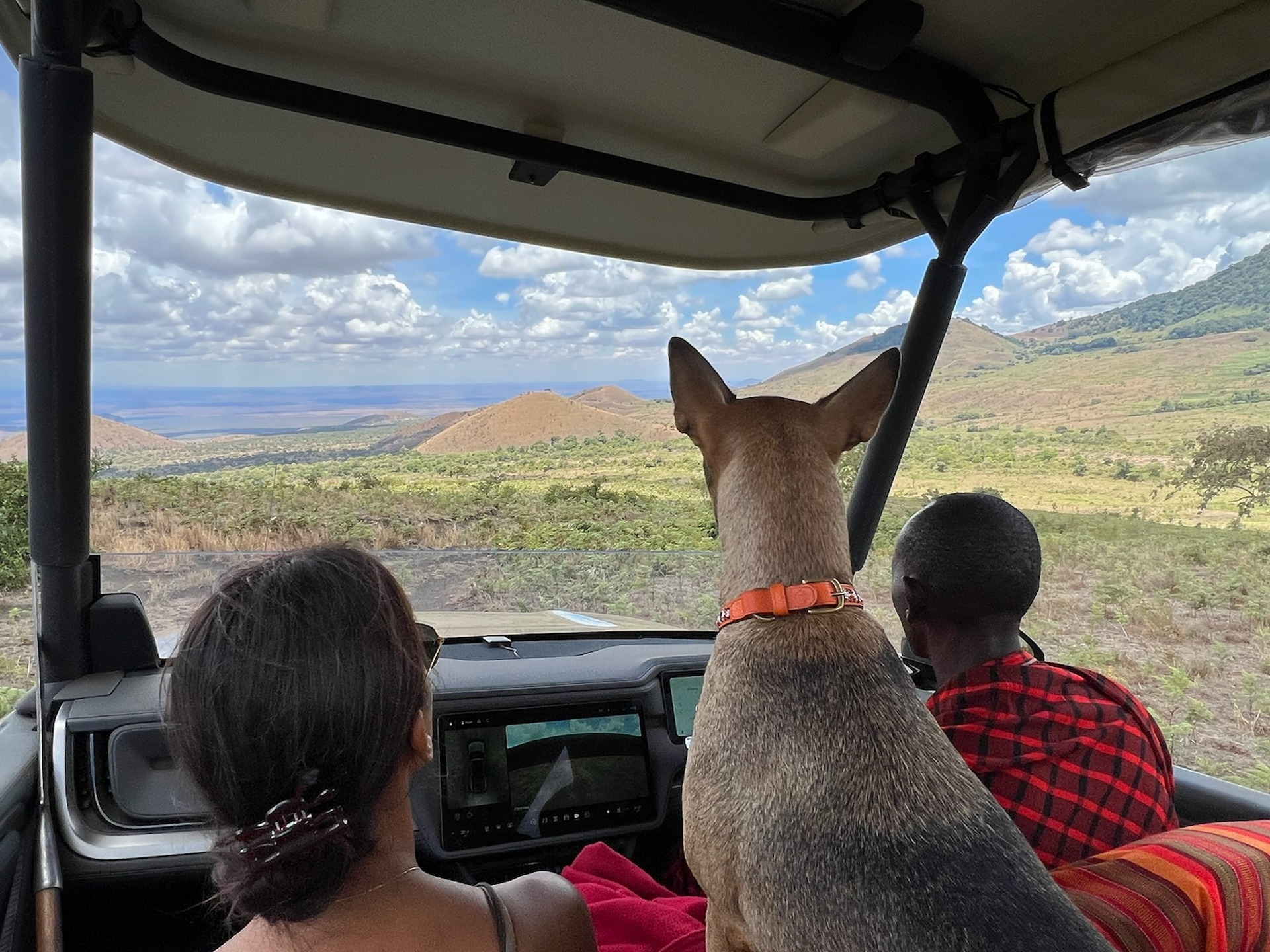 Rivian R1T Electric Pickup Converted To Open-Air Safari Vehicle In ...