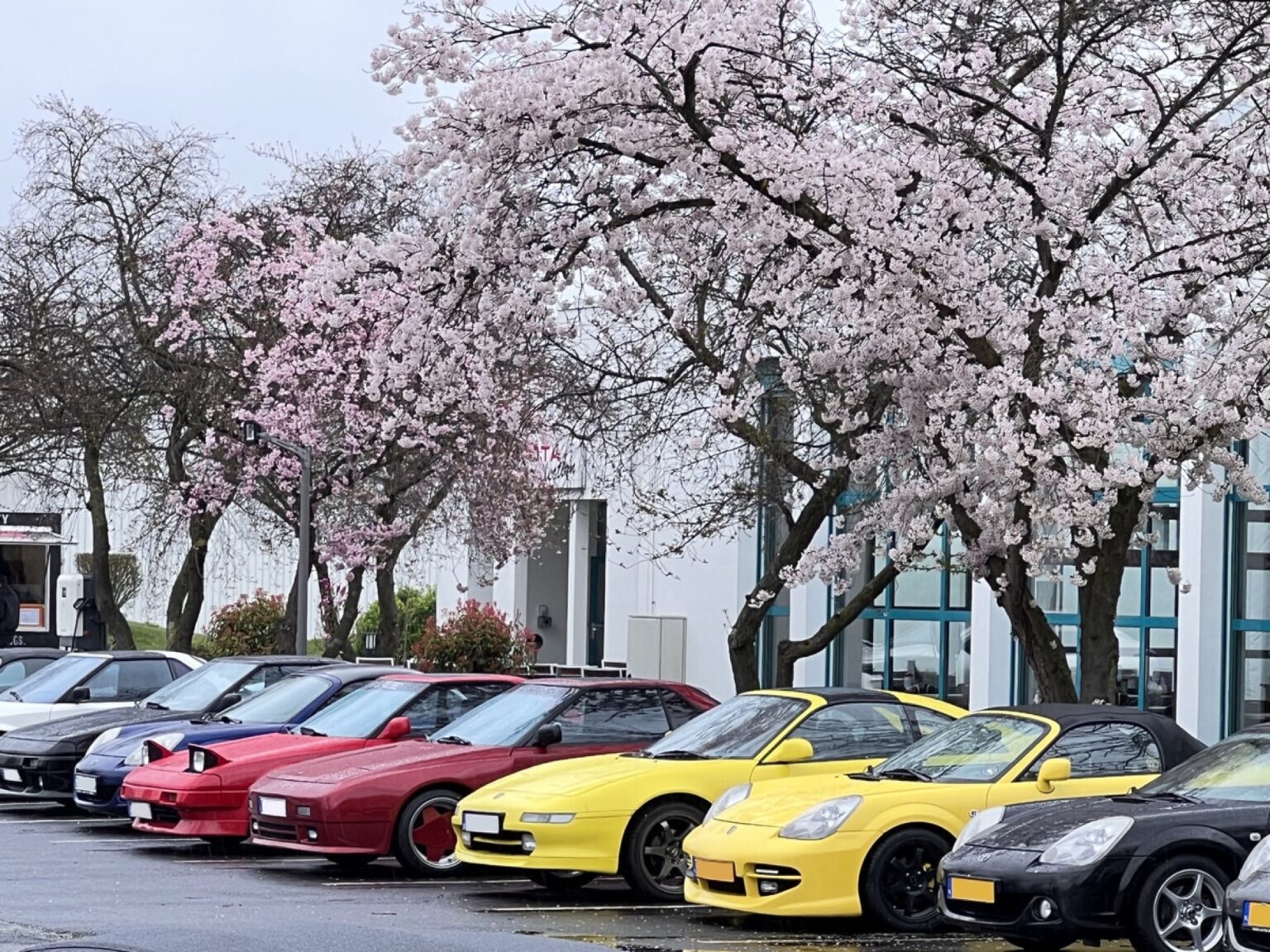 Toyota’s Mid-Engine Marvels Celebrate Cherry Blossom Festival | Carscoops