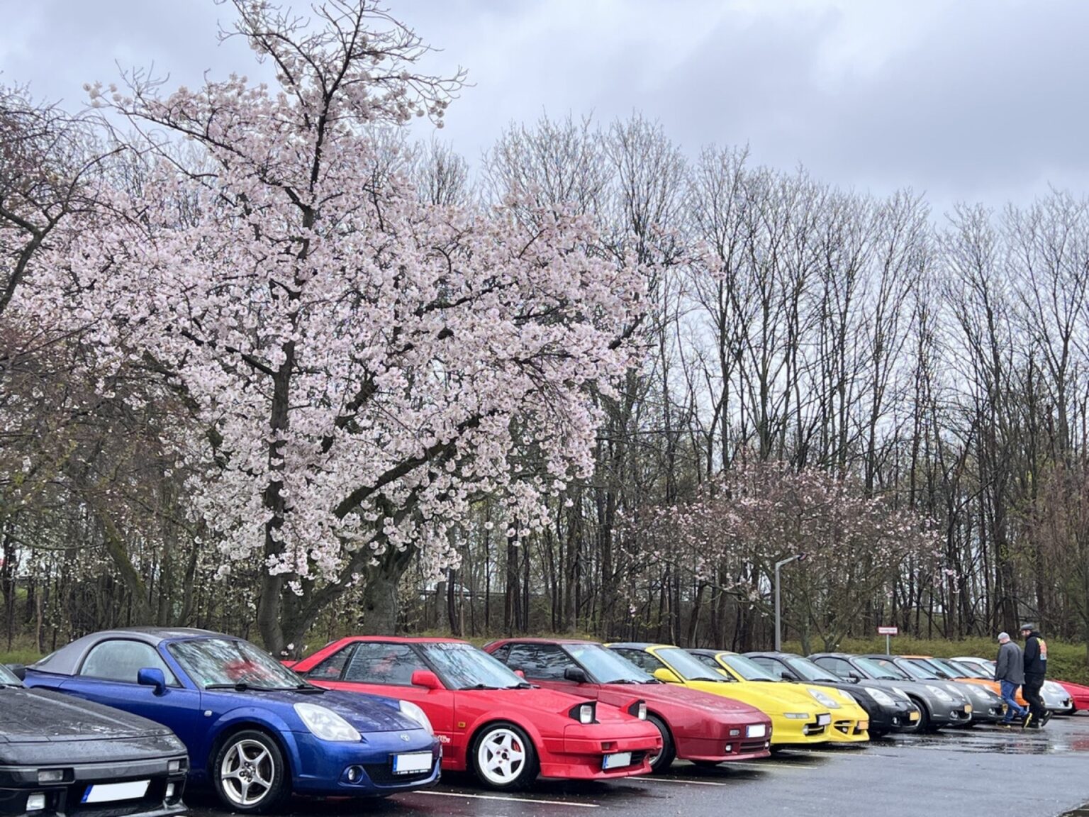 Toyota’s Mid-Engine Marvels Celebrate Cherry Blossom Festival | Carscoops