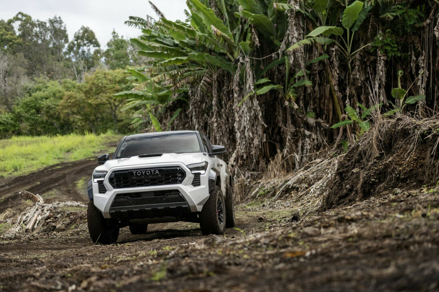 Color Us Impressed: 2024 Toyota Tacoma TRD Pro Gains Exclusive Terra ...