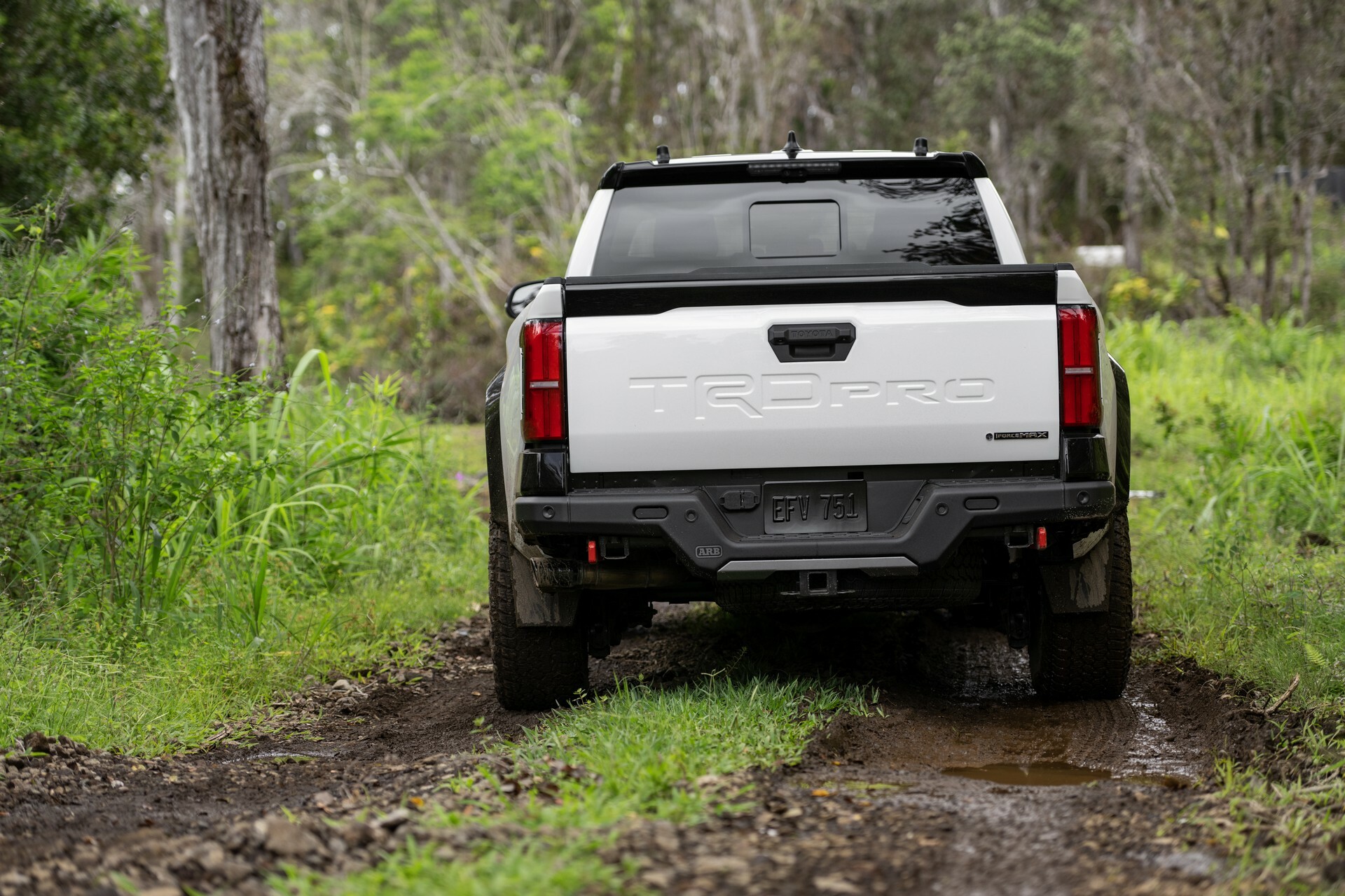 Color Us Impressed: 2024 Toyota Tacoma TRD Pro Gains Exclusive Terra ...