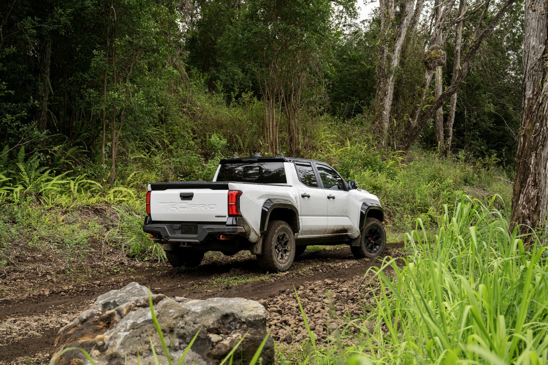 Color Us Impressed: 2024 Toyota Tacoma TRD Pro Gains Exclusive Terra ...