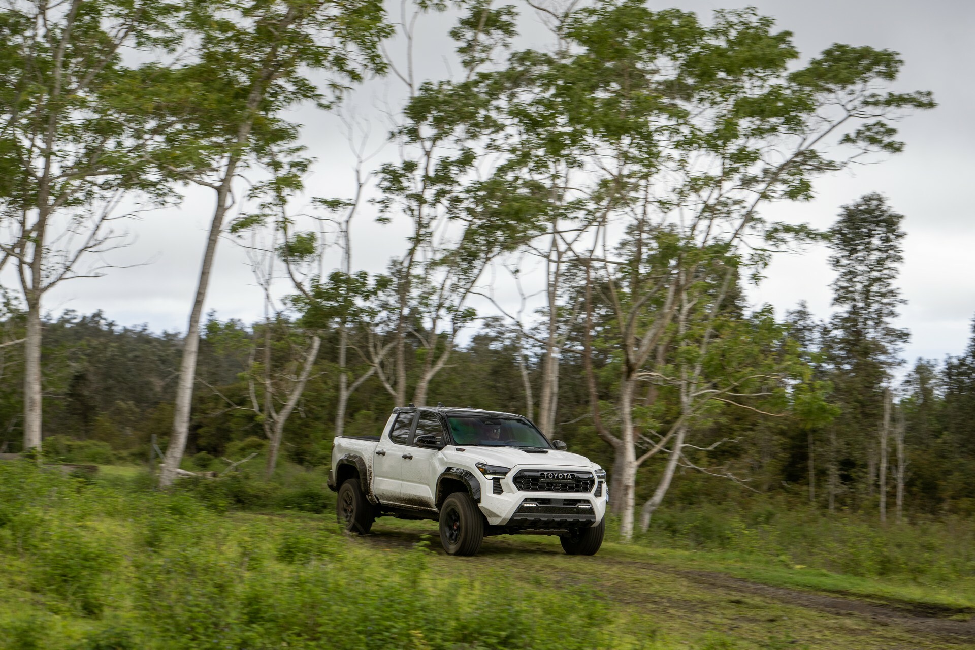 Color Us Impressed: 2024 Toyota Tacoma TRD Pro Gains Exclusive Terra ...