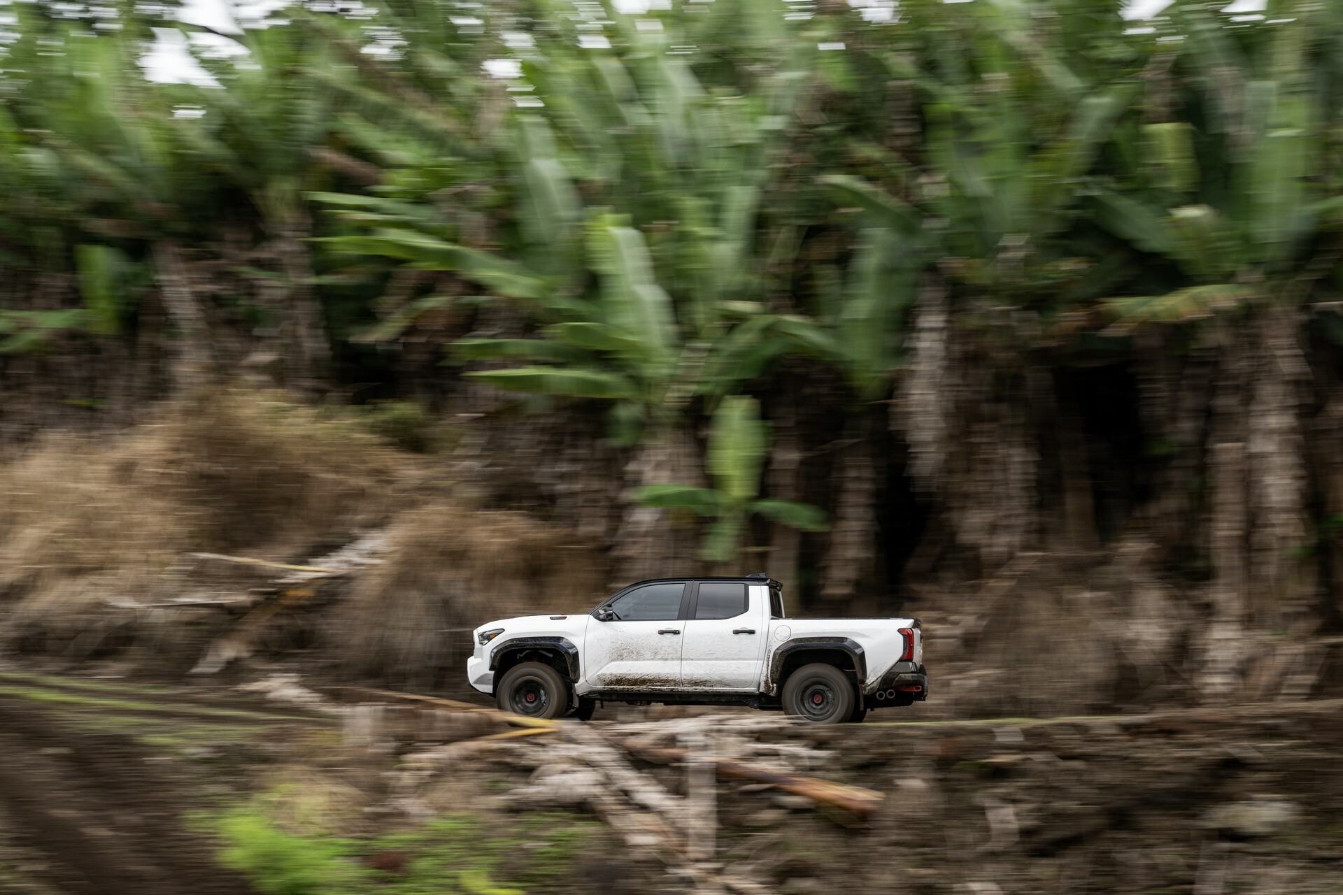 Color Us Impressed: 2024 Toyota Tacoma TRD Pro Gains Exclusive Terra ...