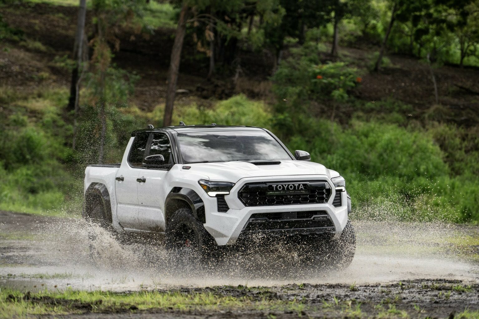 Color Us Impressed: 2024 Toyota Tacoma TRD Pro Gains Exclusive Terra ...
