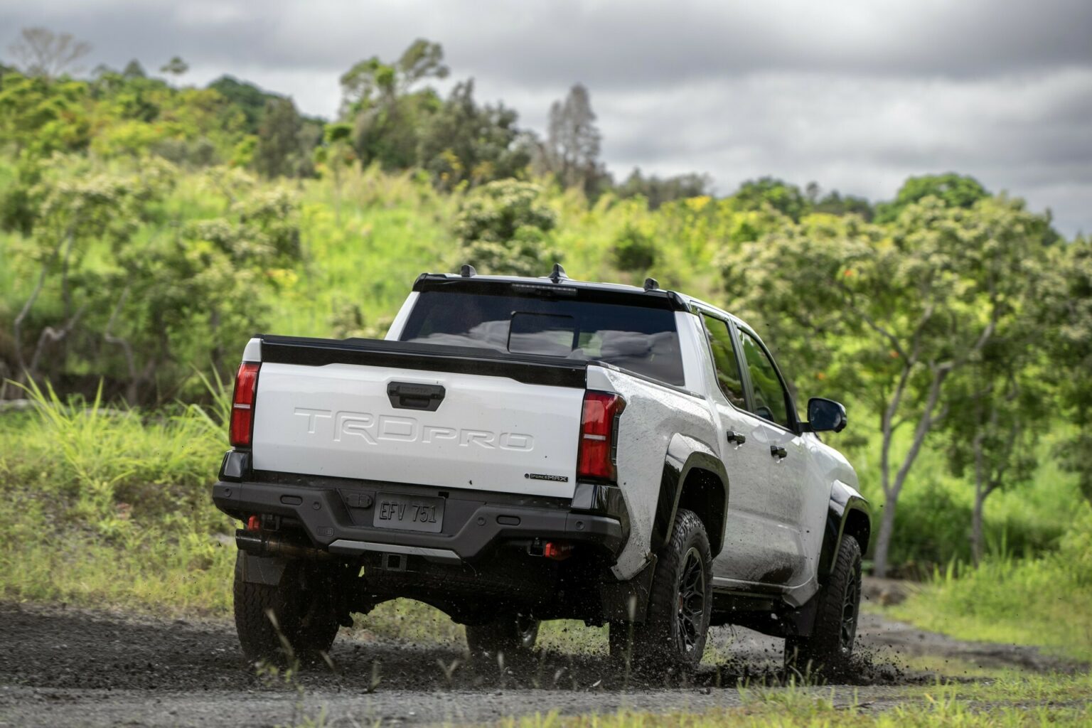 Color Us Impressed: 2024 Toyota Tacoma TRD Pro Gains Exclusive Terra ...