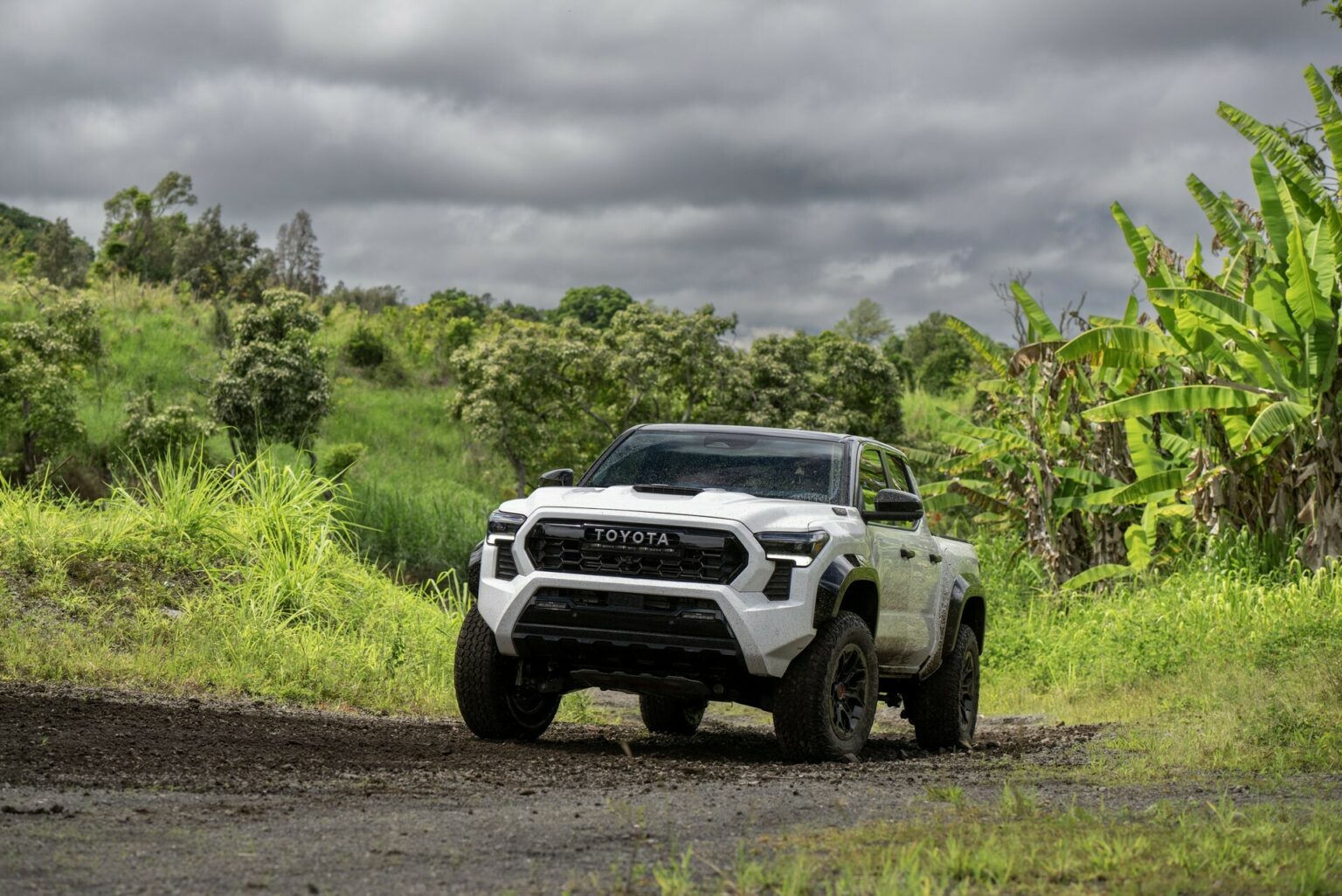 Color Us Impressed: 2024 Toyota Tacoma TRD Pro Gains Exclusive Terra ...