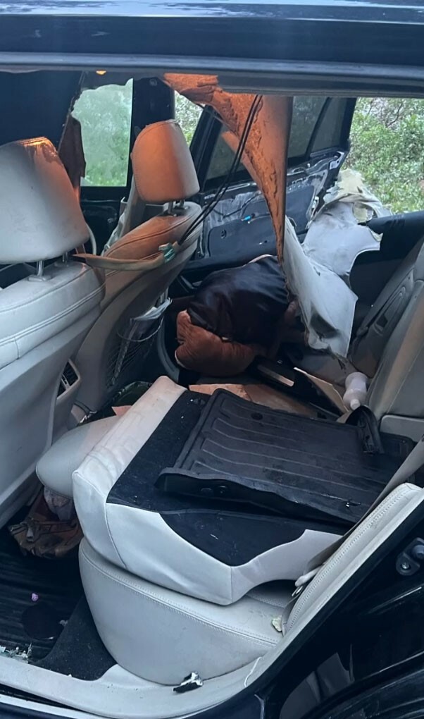 Quick Thinking Deputies Rescue Bear Trapped In Subaru Outback | Carscoops