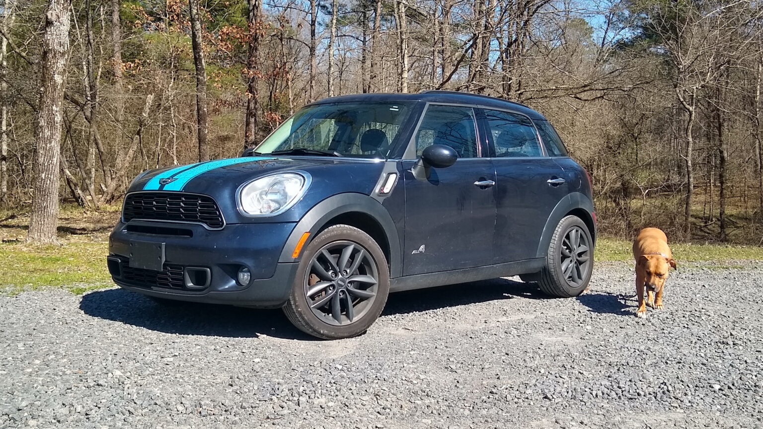 Tell Us: What’s Your Forever Car? | Carscoops