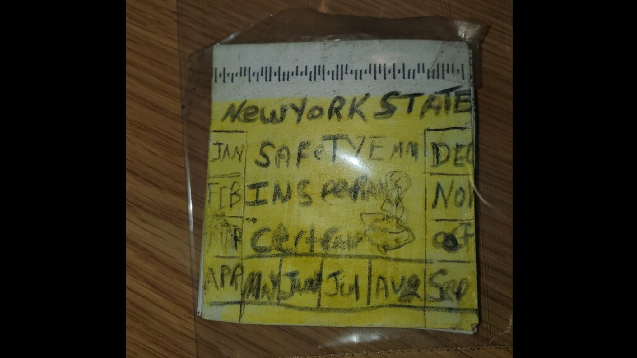 NY Woman With Crudely Forged Hand-Drawn Inspection Sticker Faces Felony ...