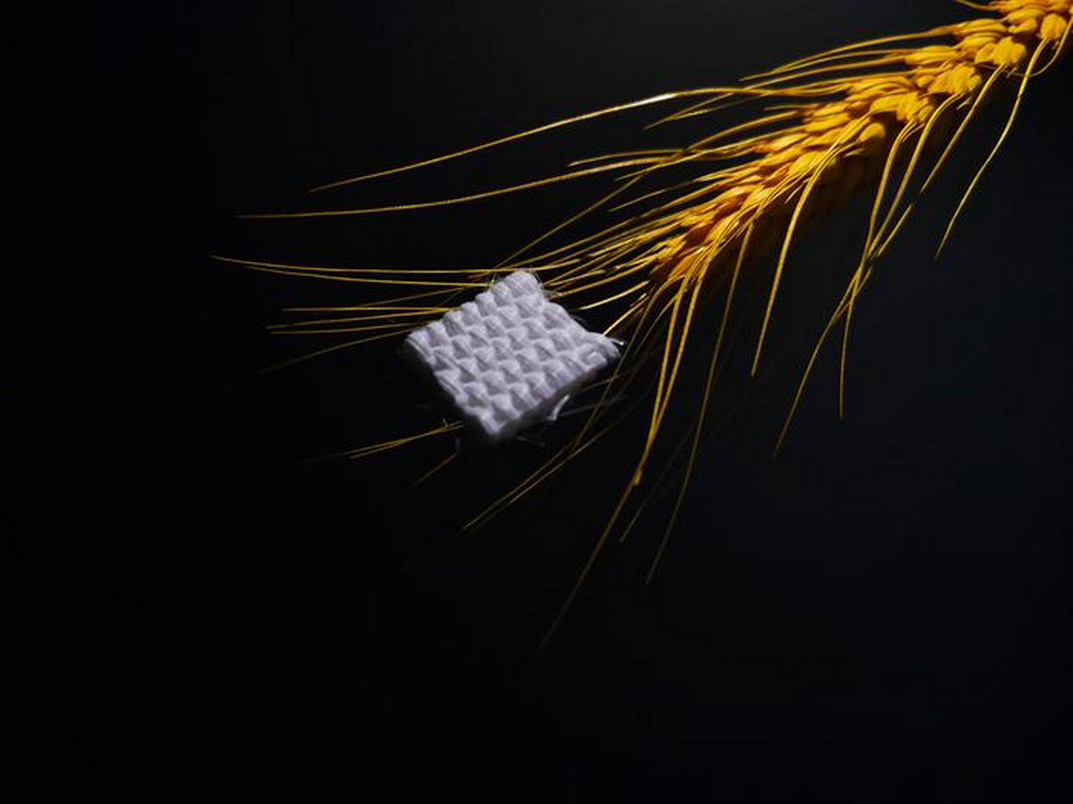 New Thermal Cloak Keeps EVs Running At Peak Performance | Carscoops