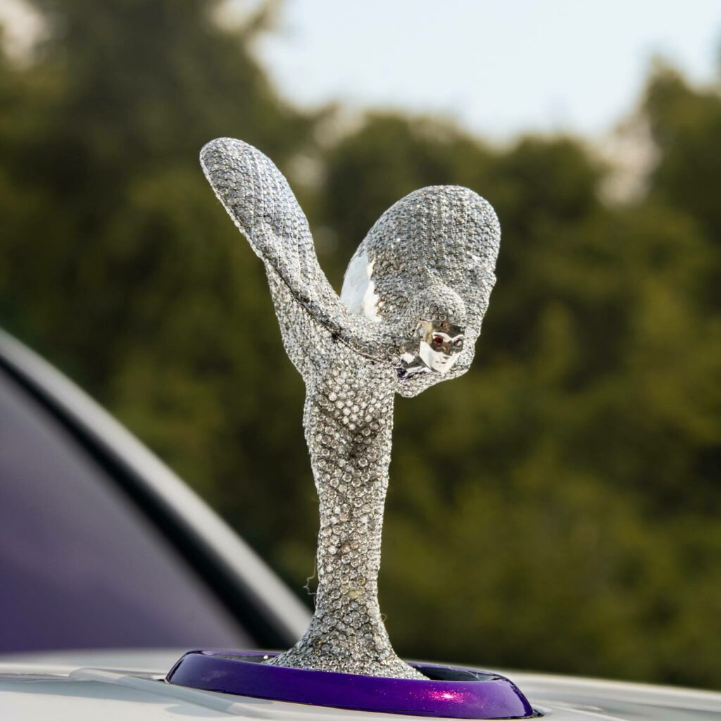 Interesting Rolls Royce Cullinan Vert Photos