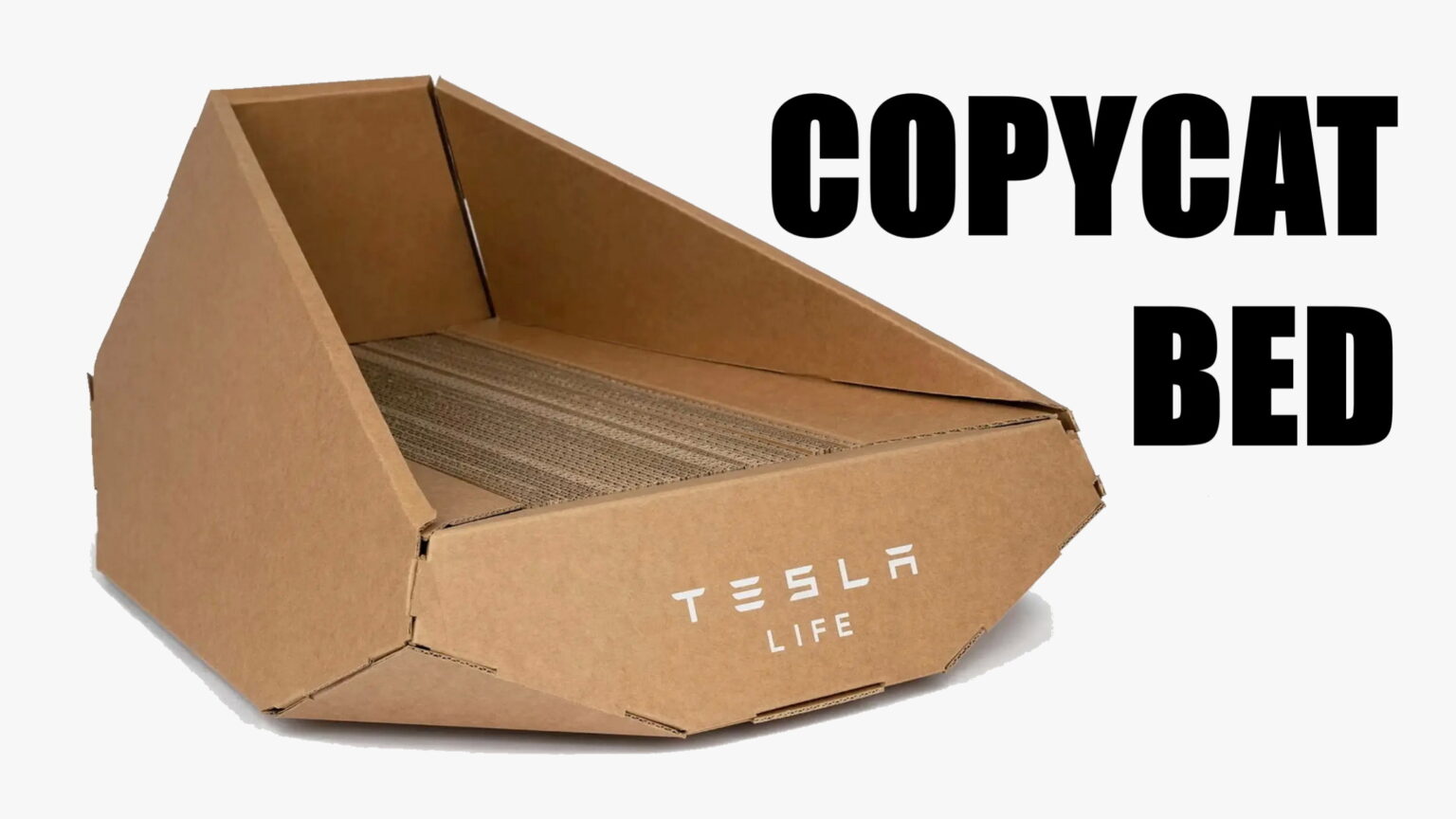 Copycat? Tesla Accused Of Stealing Cybertruck Cat Bed Design From ...