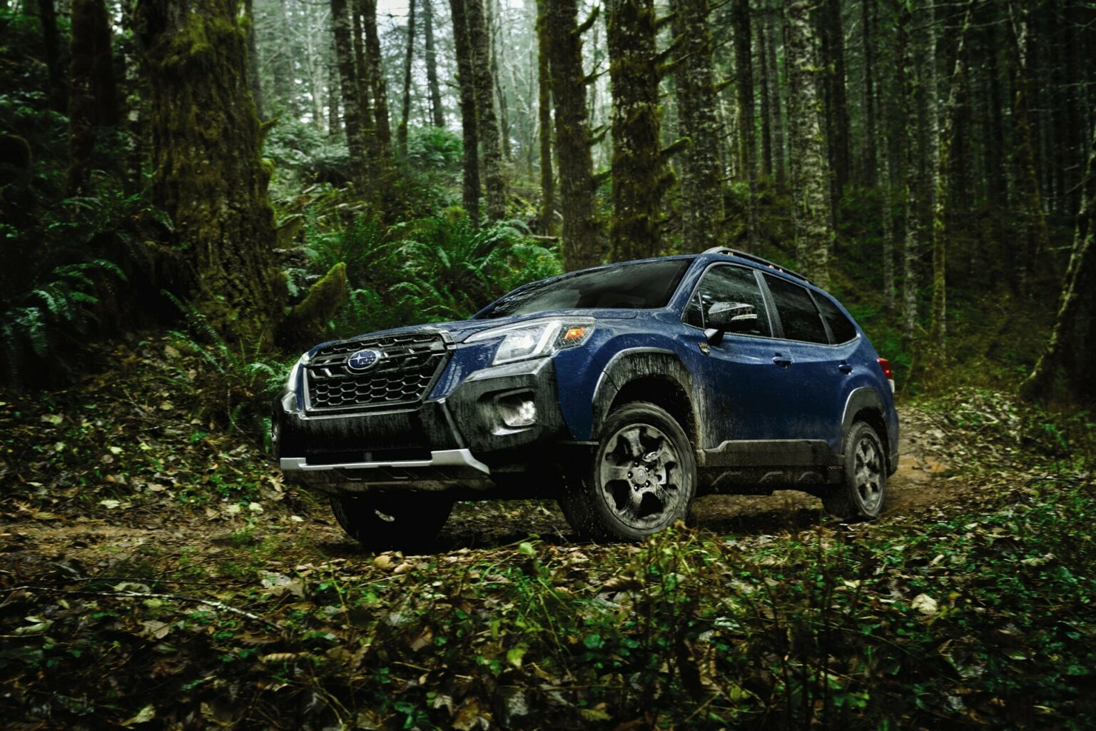 2024 Subaru Forester Is Feeling Foggy, Gets $400 Price Hike | Carscoops