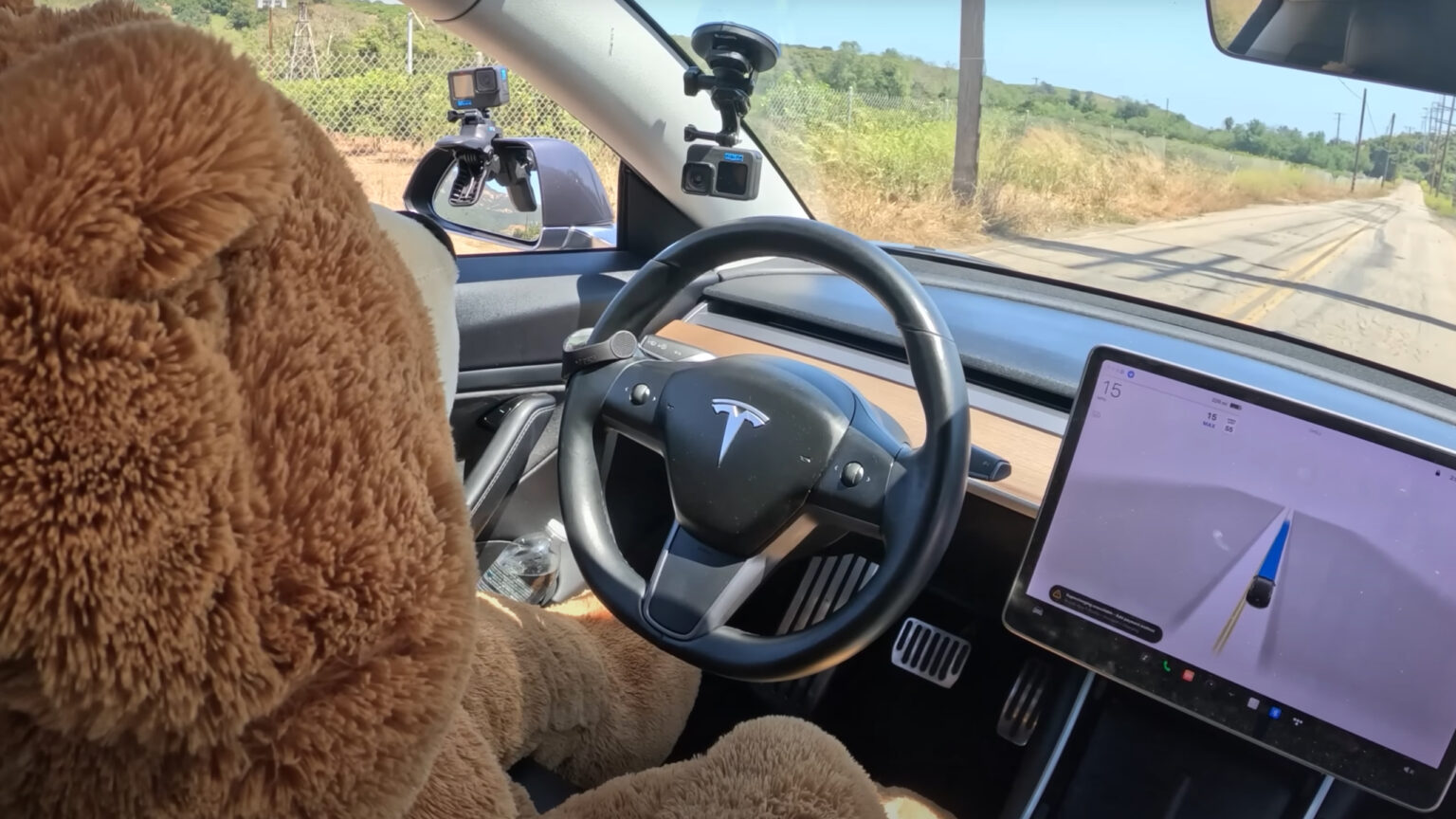 Video Shows Tesla Mistaking Teddy Bear For A Driver And Hitting A (Fake ...