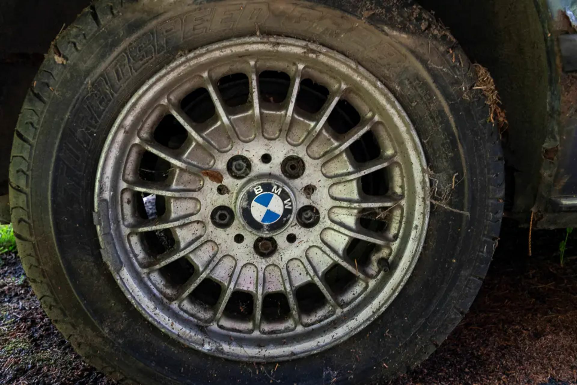Is This Neglected 1984 BMW 635CSi Barn Find Worth Saving? | Carscoops