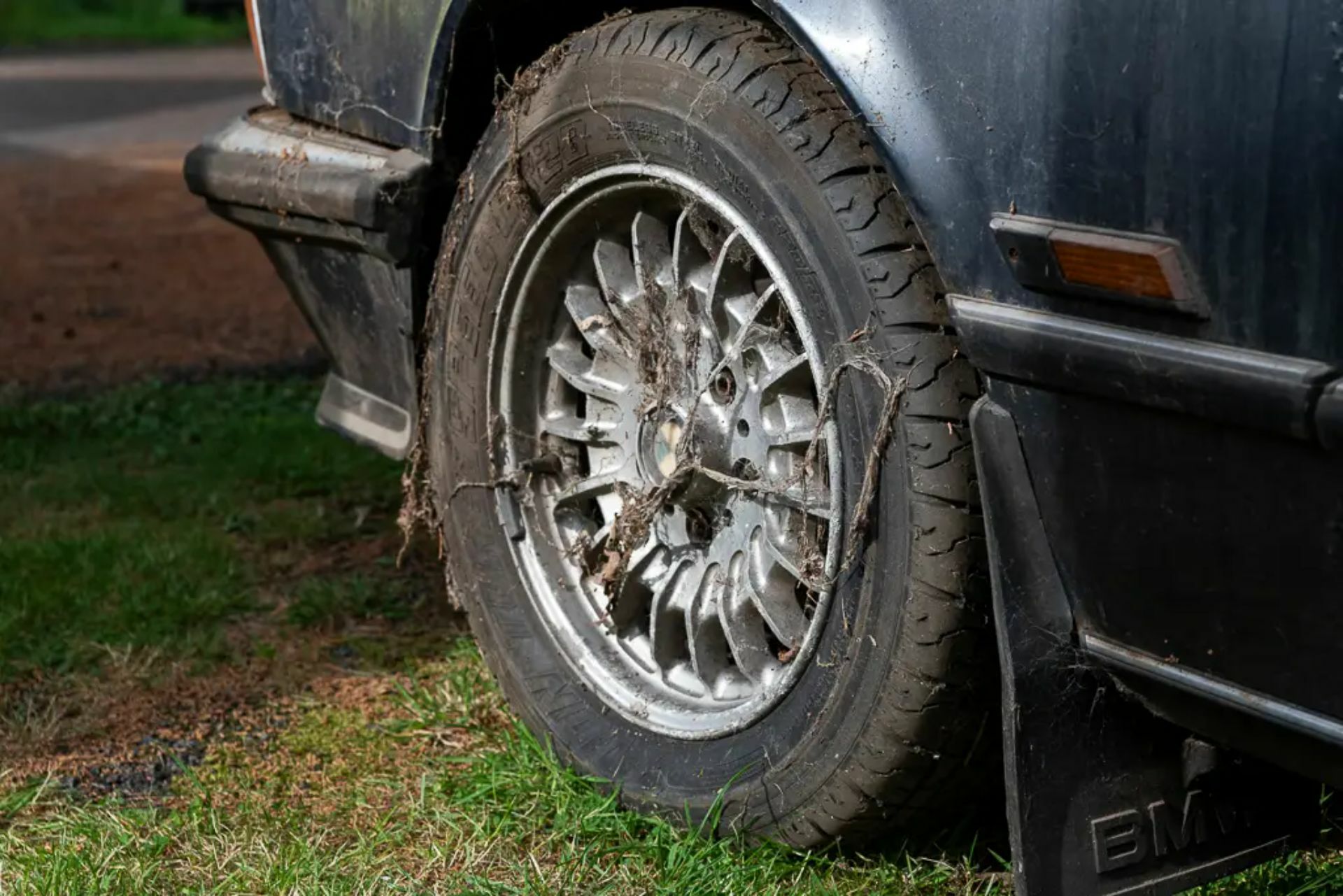 Is This Neglected 1984 BMW 635CSi Barn Find Worth Saving? | Carscoops