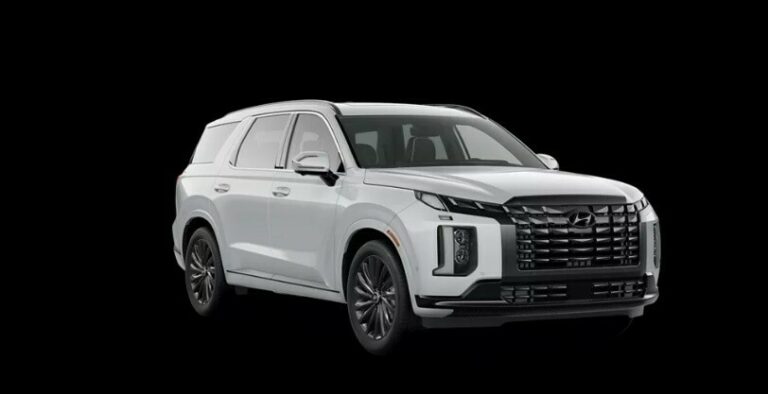 Hyundai Says Boo With New Palisade Calligraphy Night Edition | Carscoops