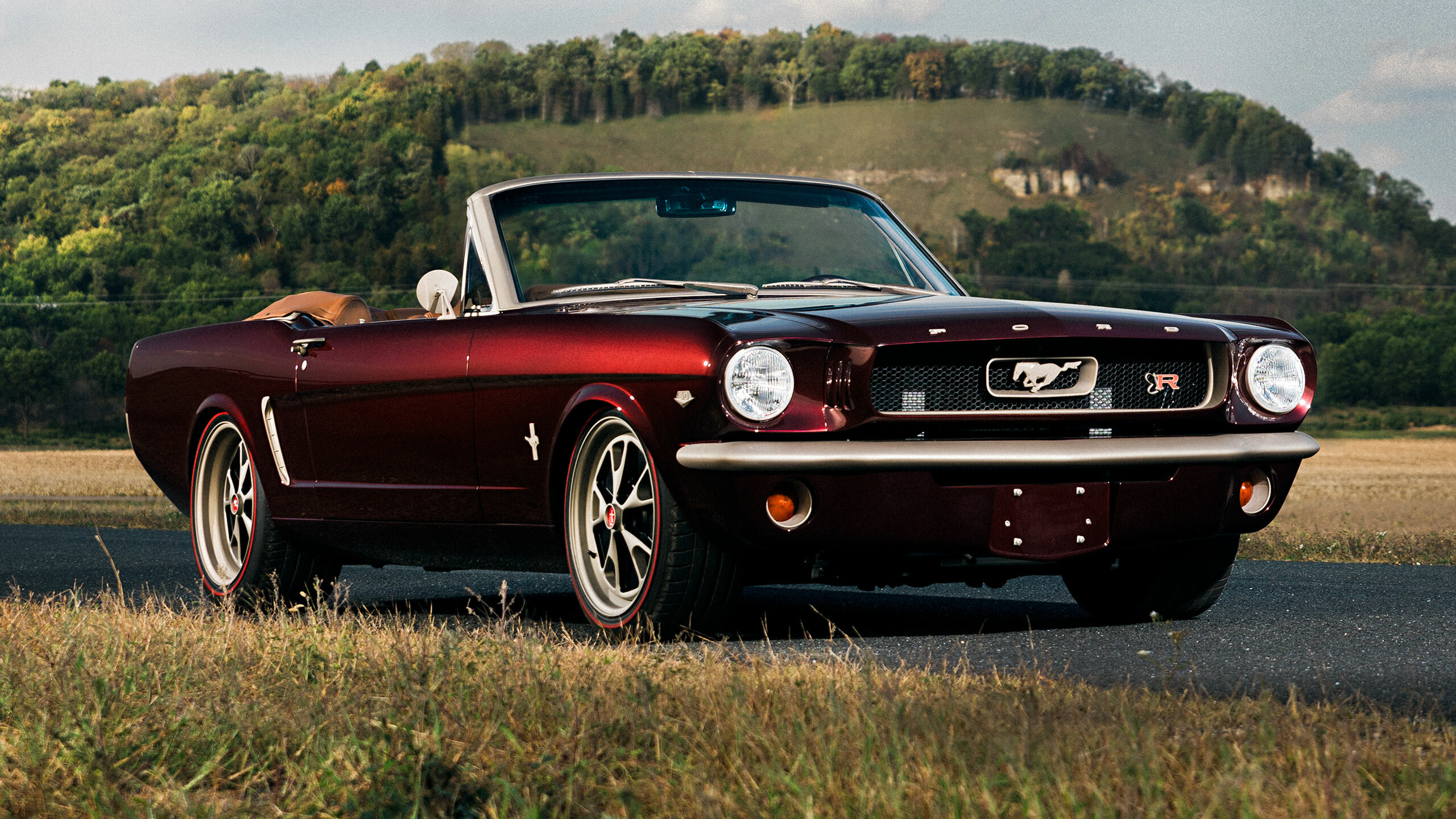 It Took Ringbrothers Over 4,000 Hours To Build This ’65 Ford Mustang ...