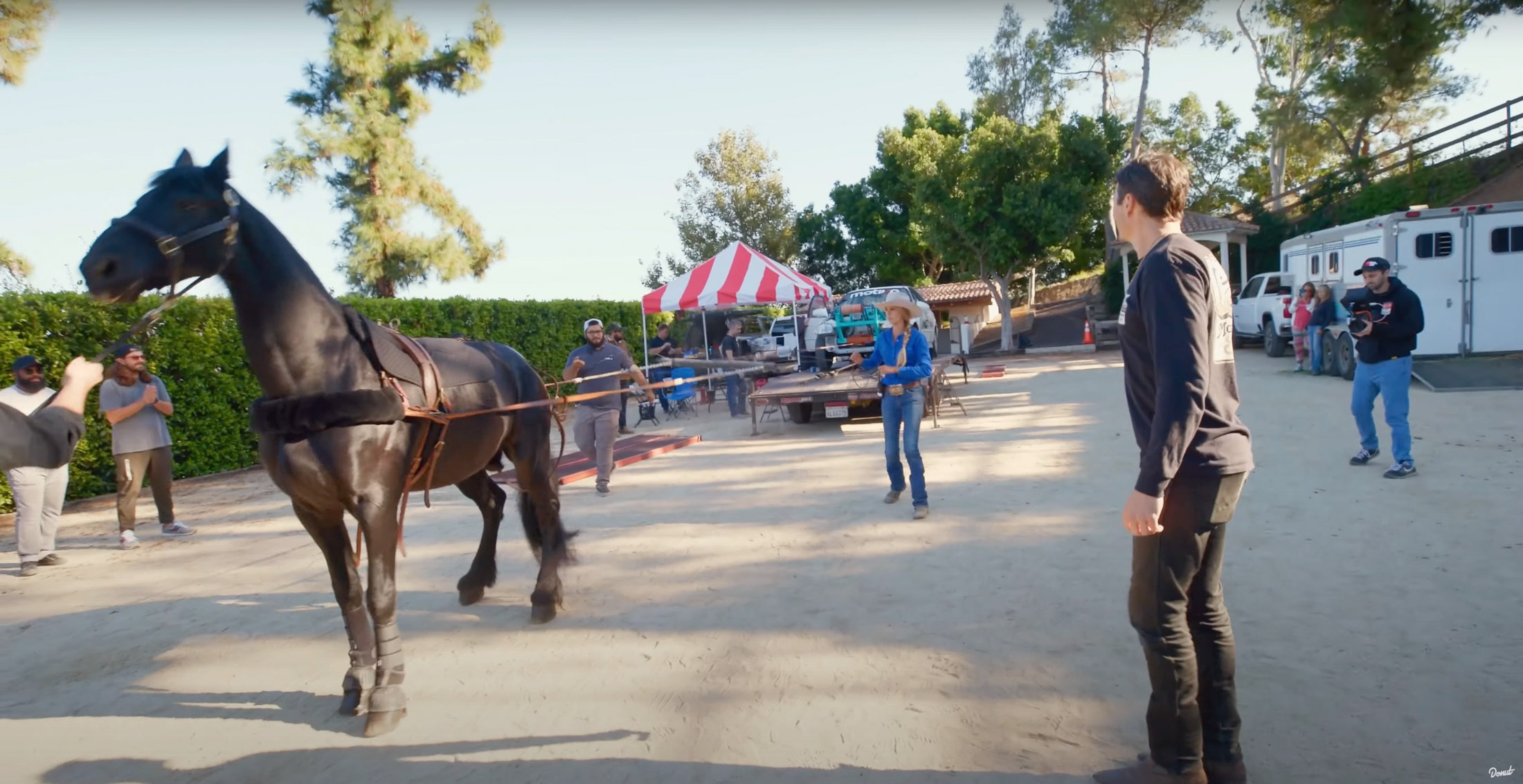 How Much Horsepower Is A Horse? This Crazy Dyno Experiment Reveals All ...