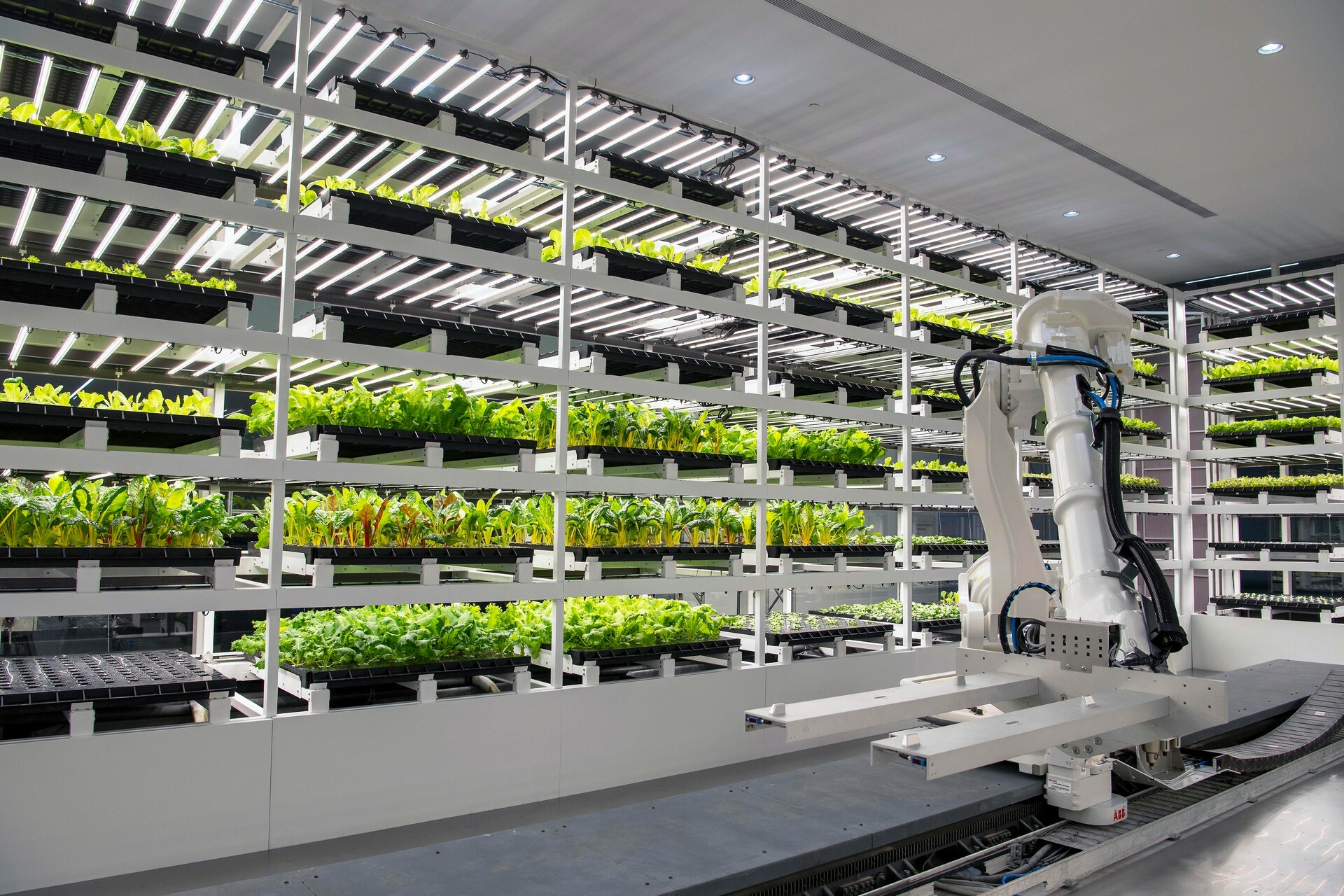 Hyundai And Motional’s Ioniq 5 Robotaxi Is Being Built At Innovative ...