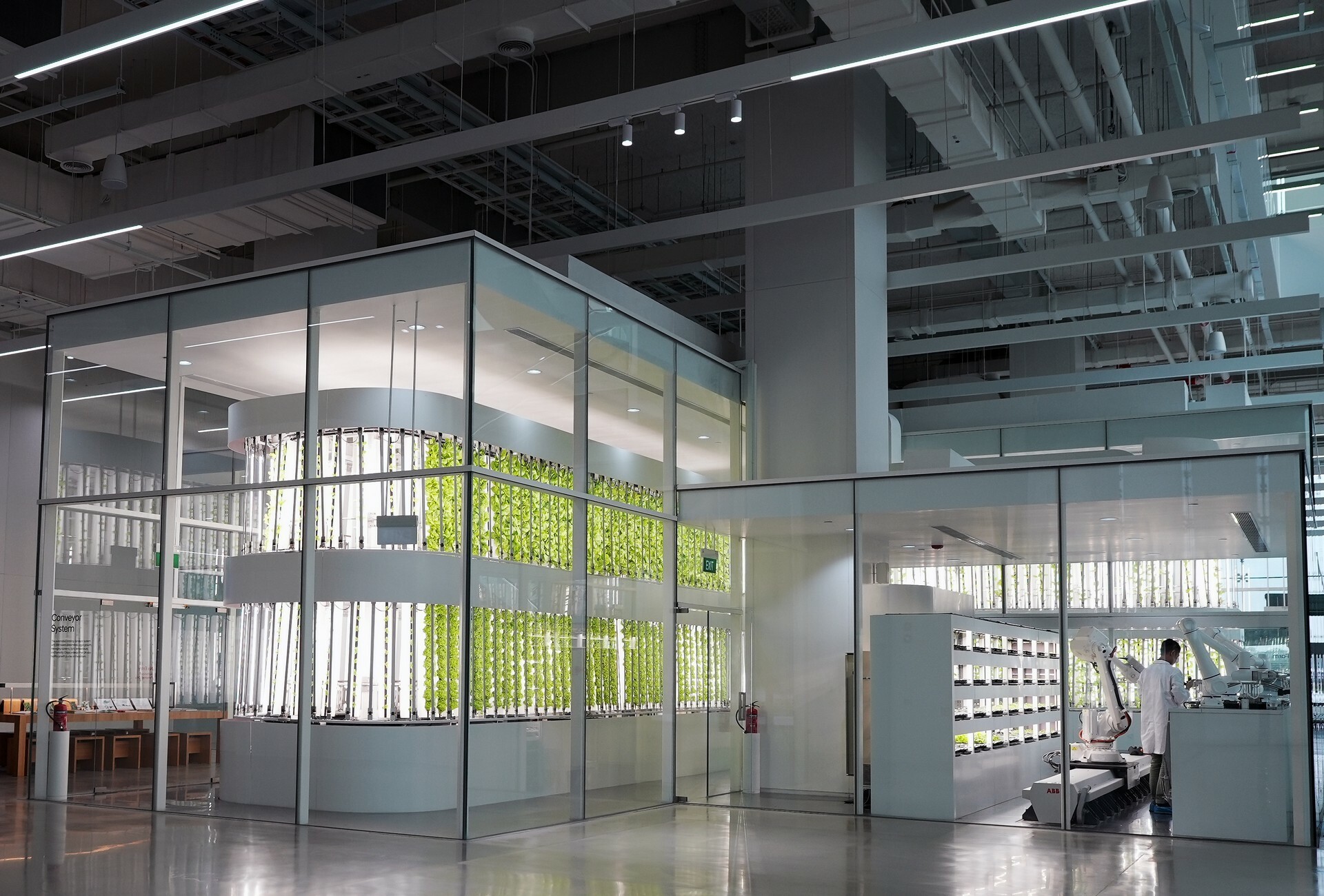 Hyundai And Motional’s Ioniq 5 Robotaxi Is Being Built At Innovative ...