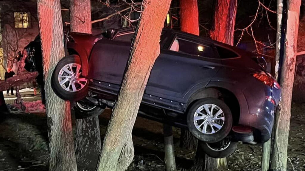 Hyundai Takes Unexpected Flight That Ends In Surreal Tree Hangout ...