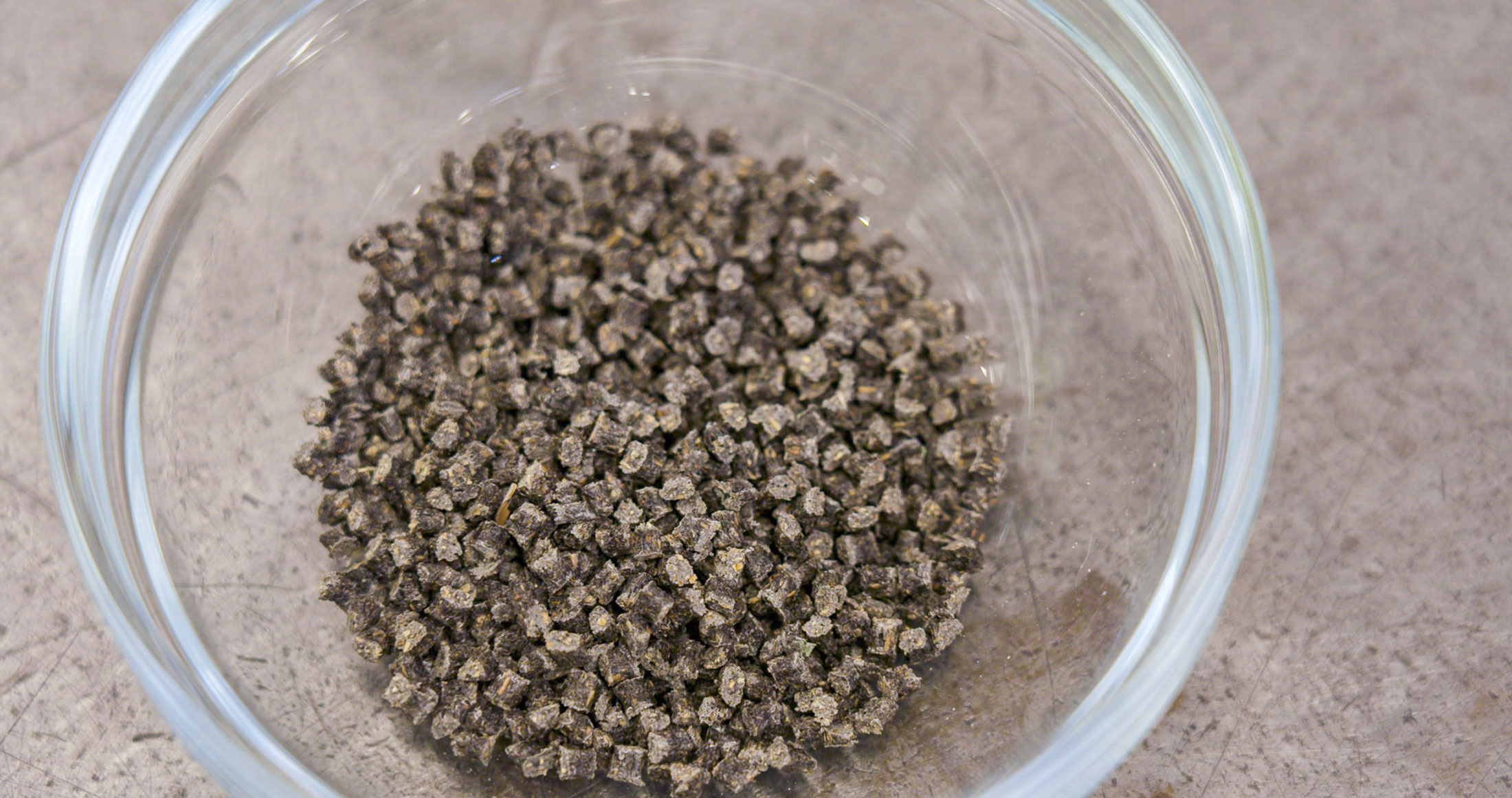 Ford Wants To Use Shredded Olive Trees To Build Your Next Car | Carscoops