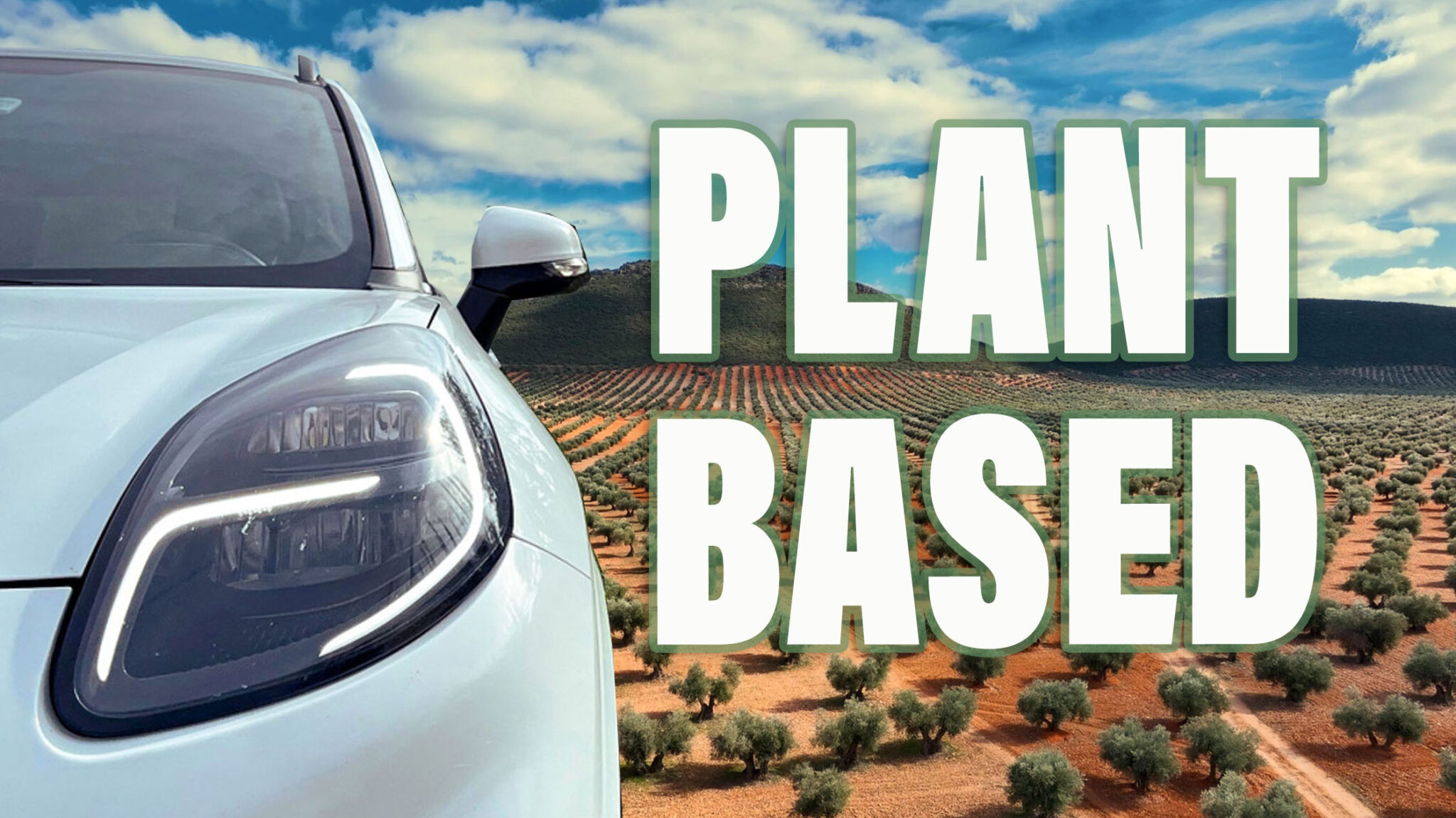 Ford Wants To Use Shredded Olive Trees To Build Your Next Car | Carscoops