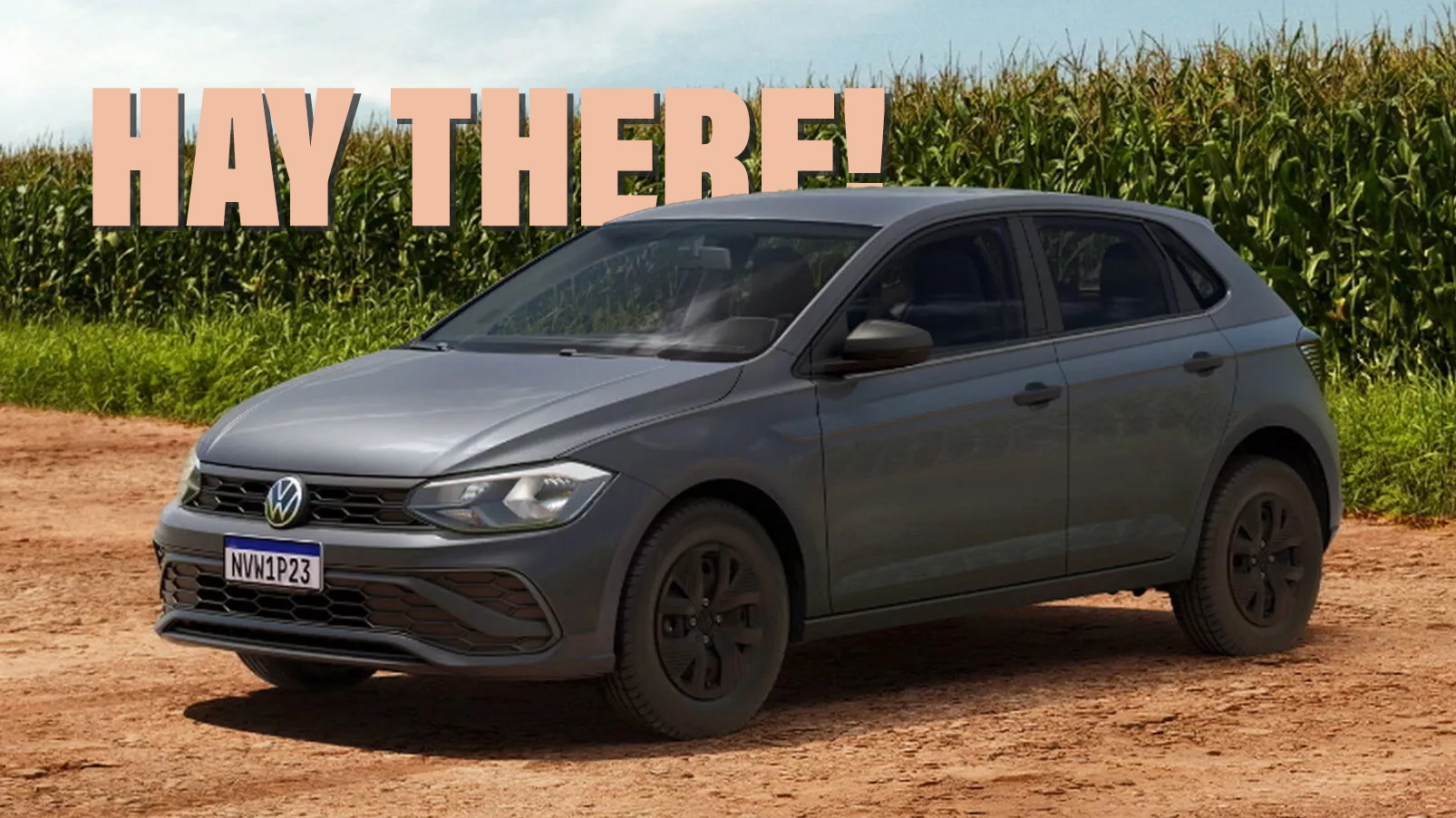 VW Polo Robust Is A Rugged Hatch For Brazilian Farmers | Carscoops