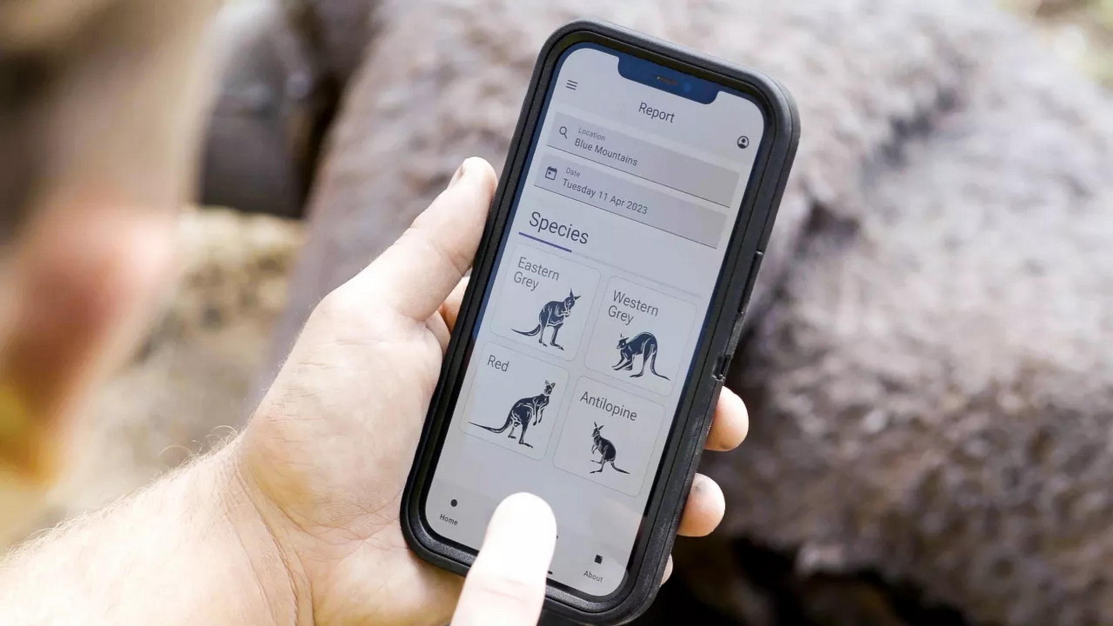 VW’s Kangaroo-Repellent Badge Sounds Too Good To Be True | Carscoops