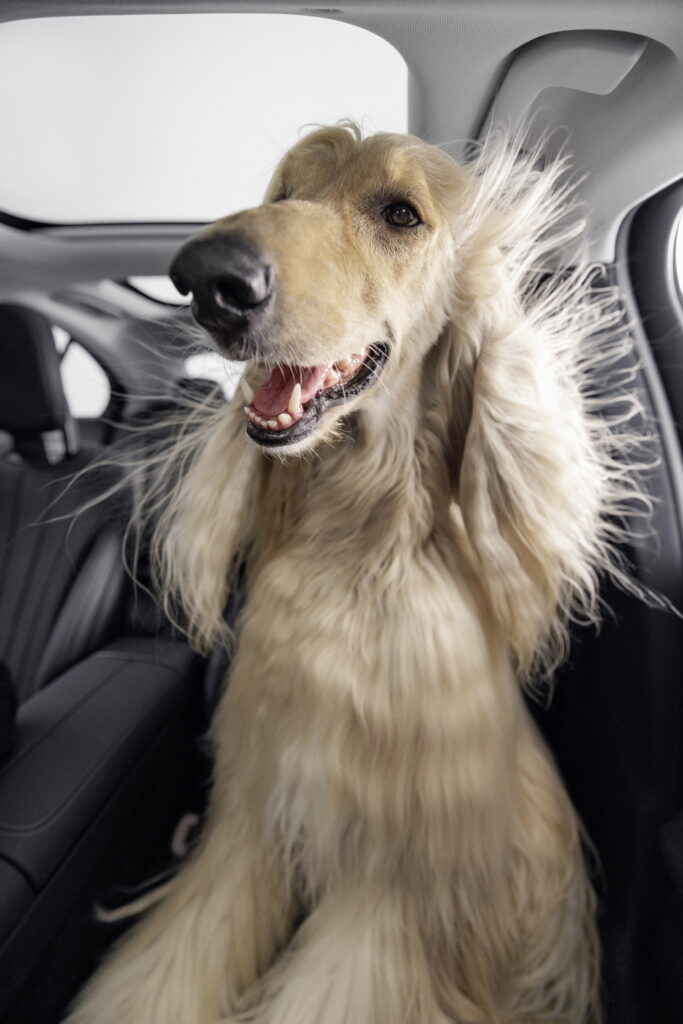 Prankshift: Automakers Rev Up Ridiculous Ideas For April Fool’s Day ...