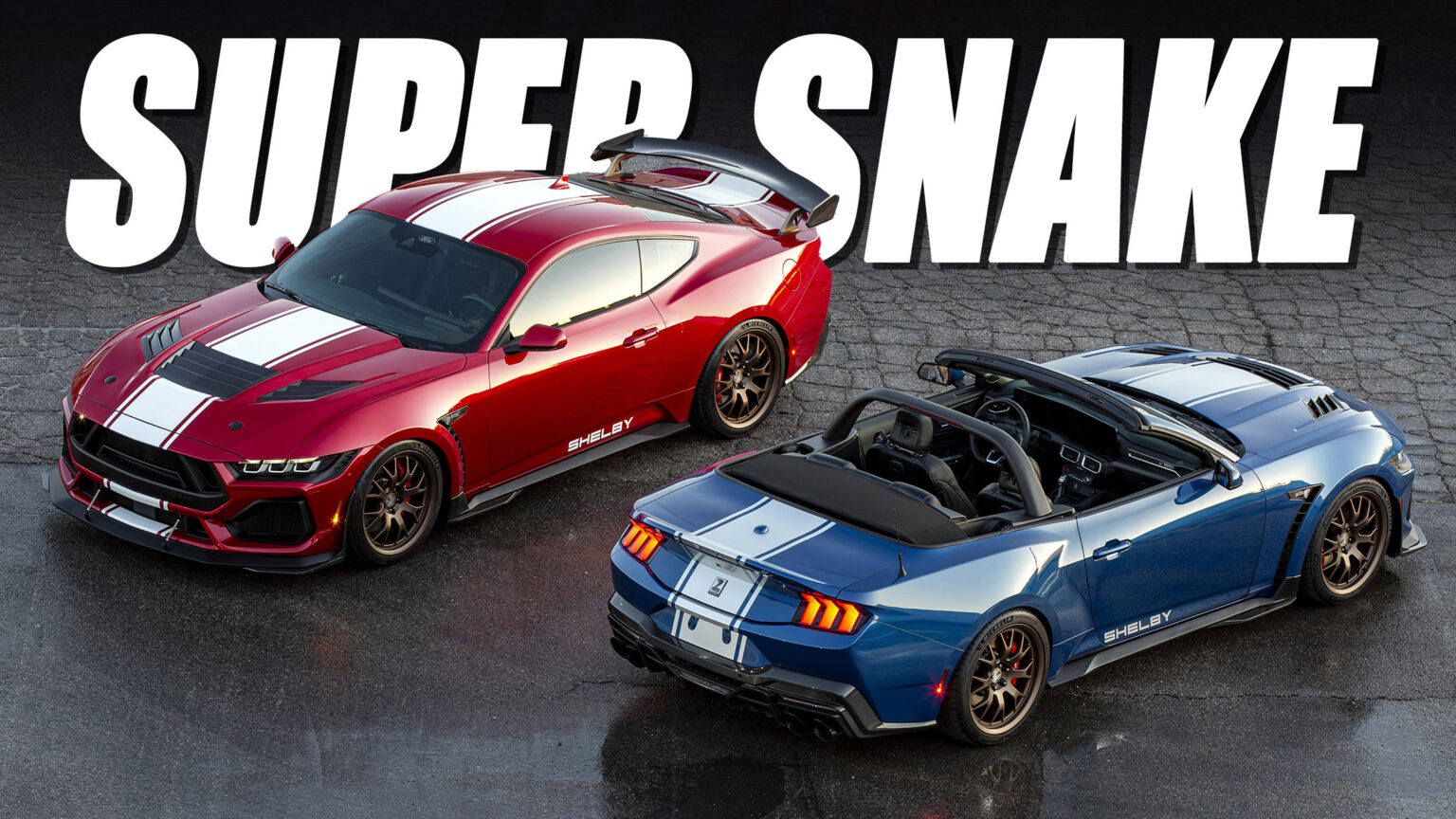 830HP Shelby Super Snake: Ford’s S650 Mustang Just Got Venomous | Carscoops