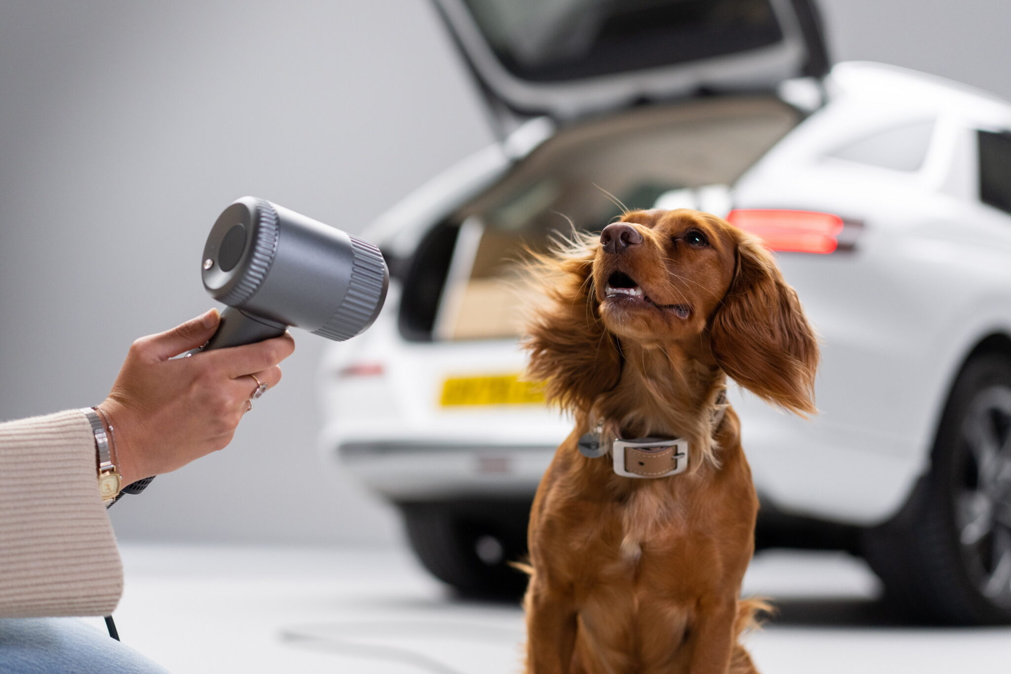 Genesis X Dog Module Pampers Your Pets Like Royalty | Carscoops