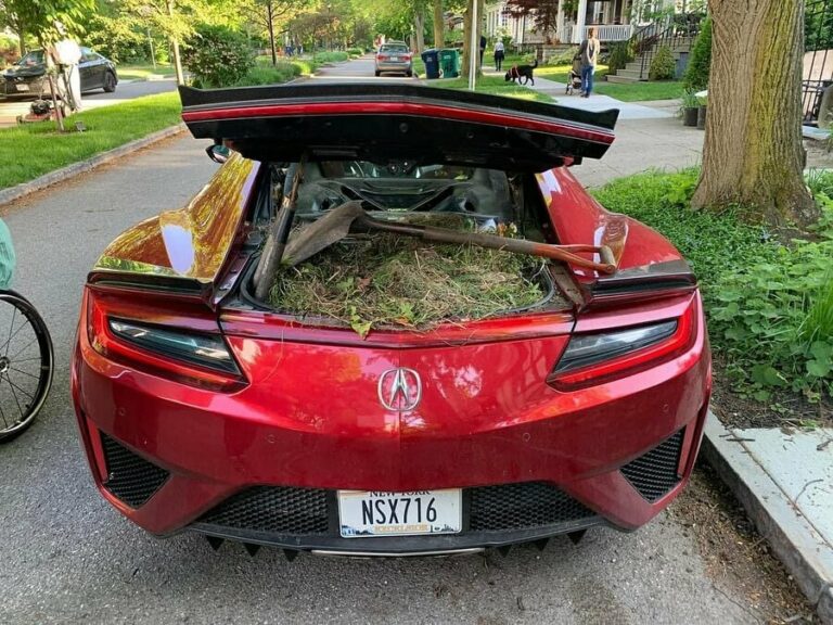 Acura NSX Impractical? This Owner Begs To Differ | Carscoops