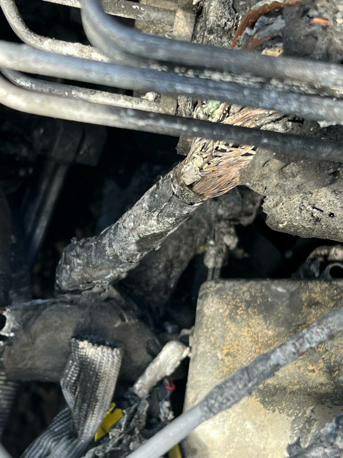 Exclusive: New Mustang Dark Horse Burns Down After Stuck Clutch, Ford ...