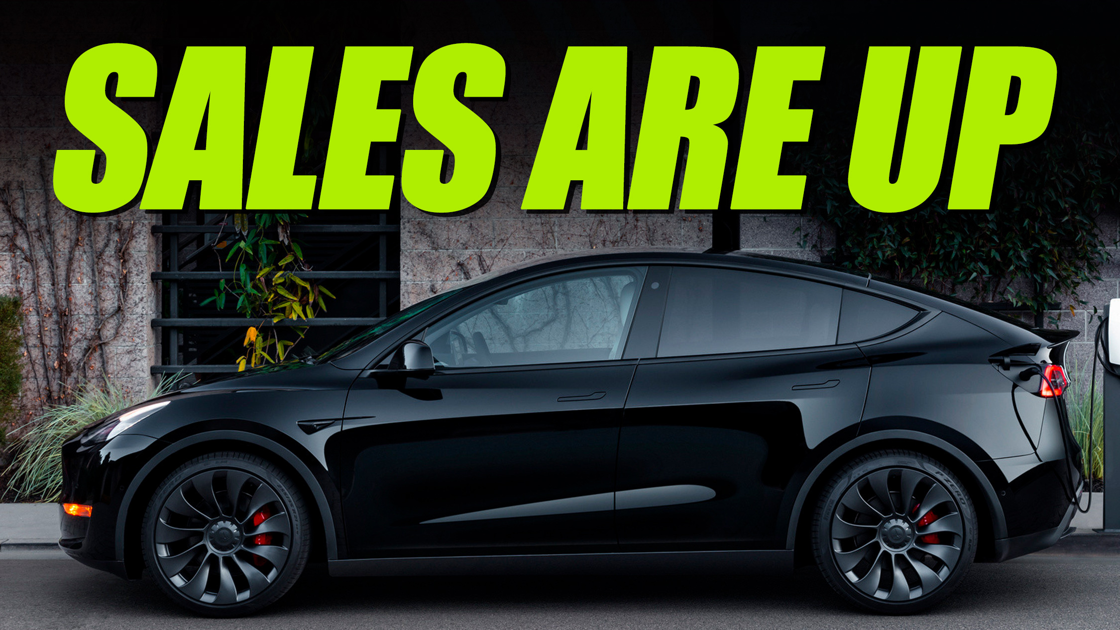 EVs Are Still Selling, Reach 8% Market Share In The U.S. | Carscoops