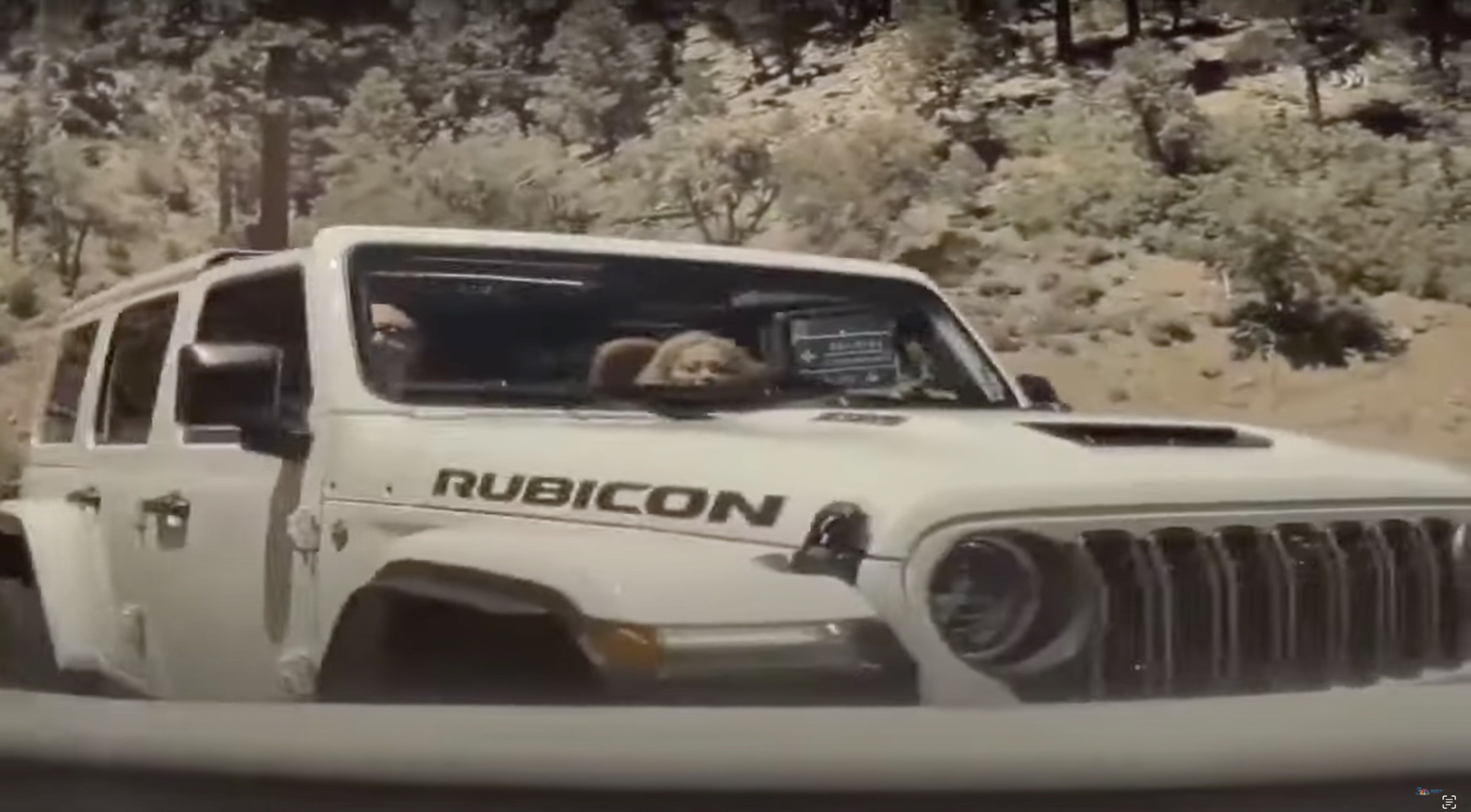 Did Driver Error Cause This Tesla To Go Crazy After Hit And Run With ...