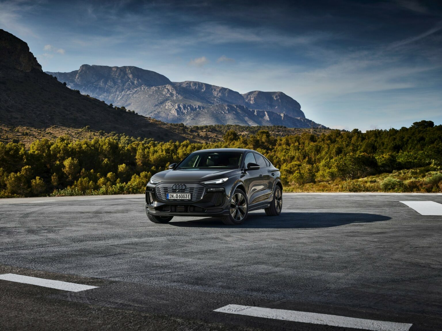 Audi Q6 And SQ6 Sportback E-Trons Bow With Sleek Styling And Up To 510 ...