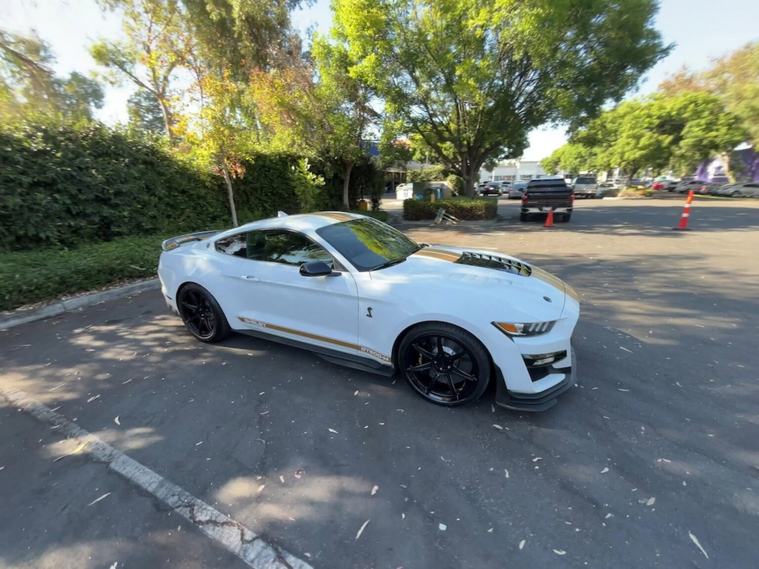 Hertz Selling Its Exclusive 900HP Mustang GT500 Rentals | Carscoops