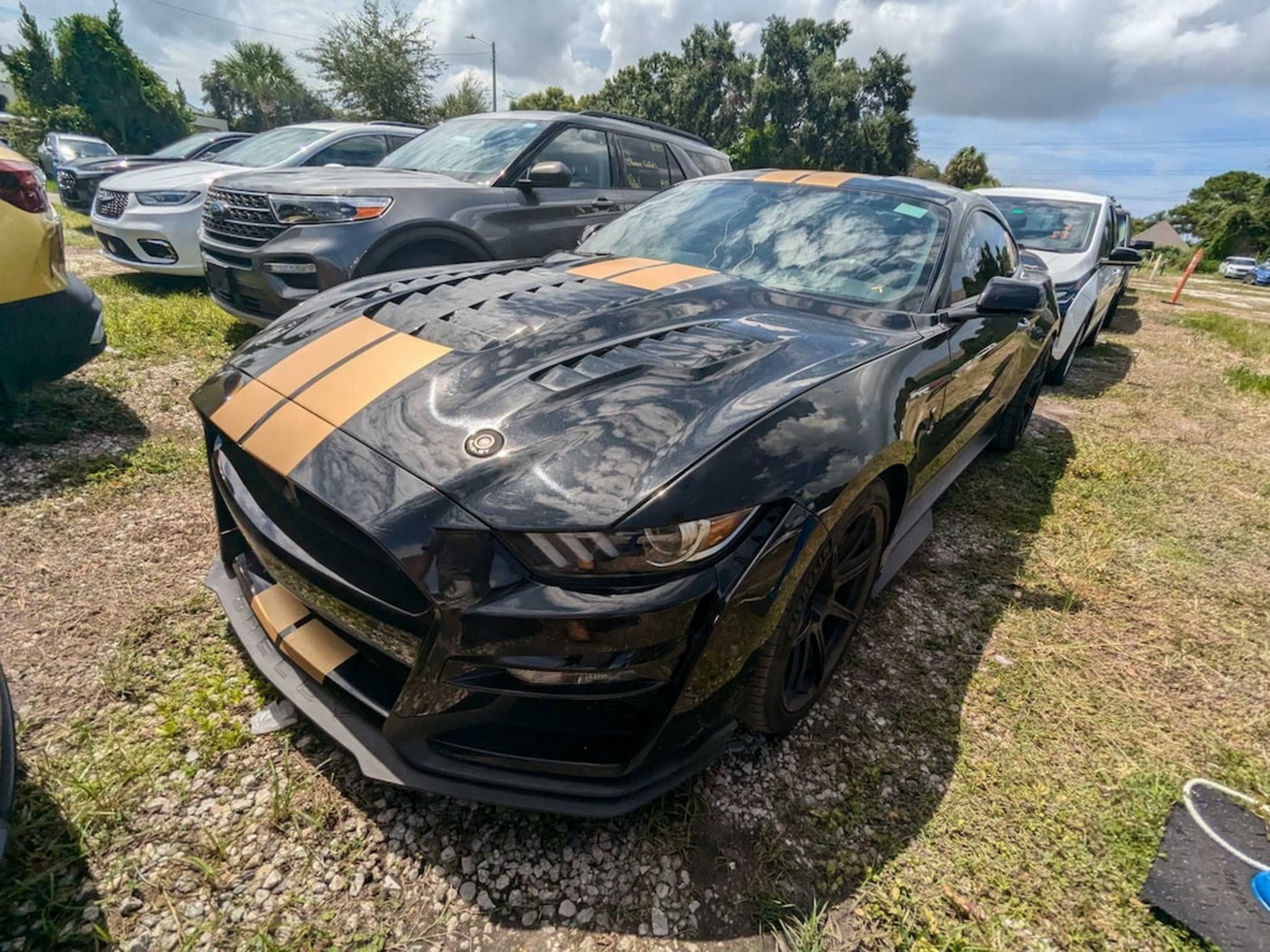Hertz Selling Its Exclusive 900HP Mustang GT500 Rentals | Carscoops