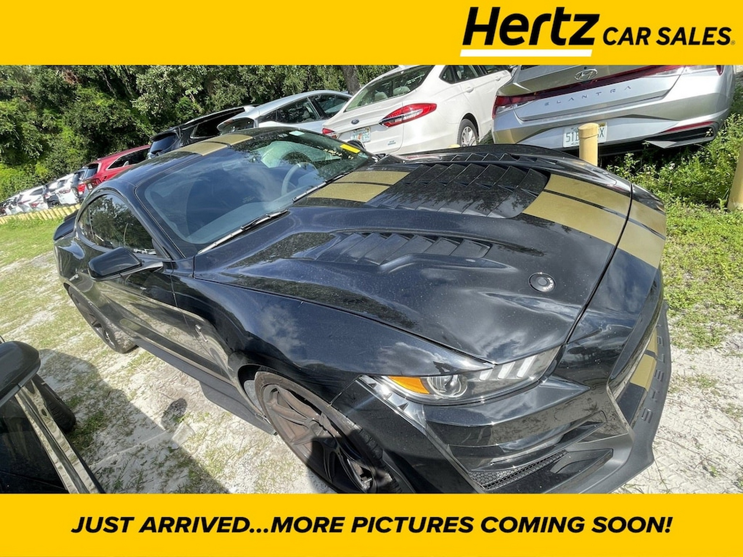 Hertz Selling Its Exclusive 900HP Mustang GT500 Rentals | Carscoops