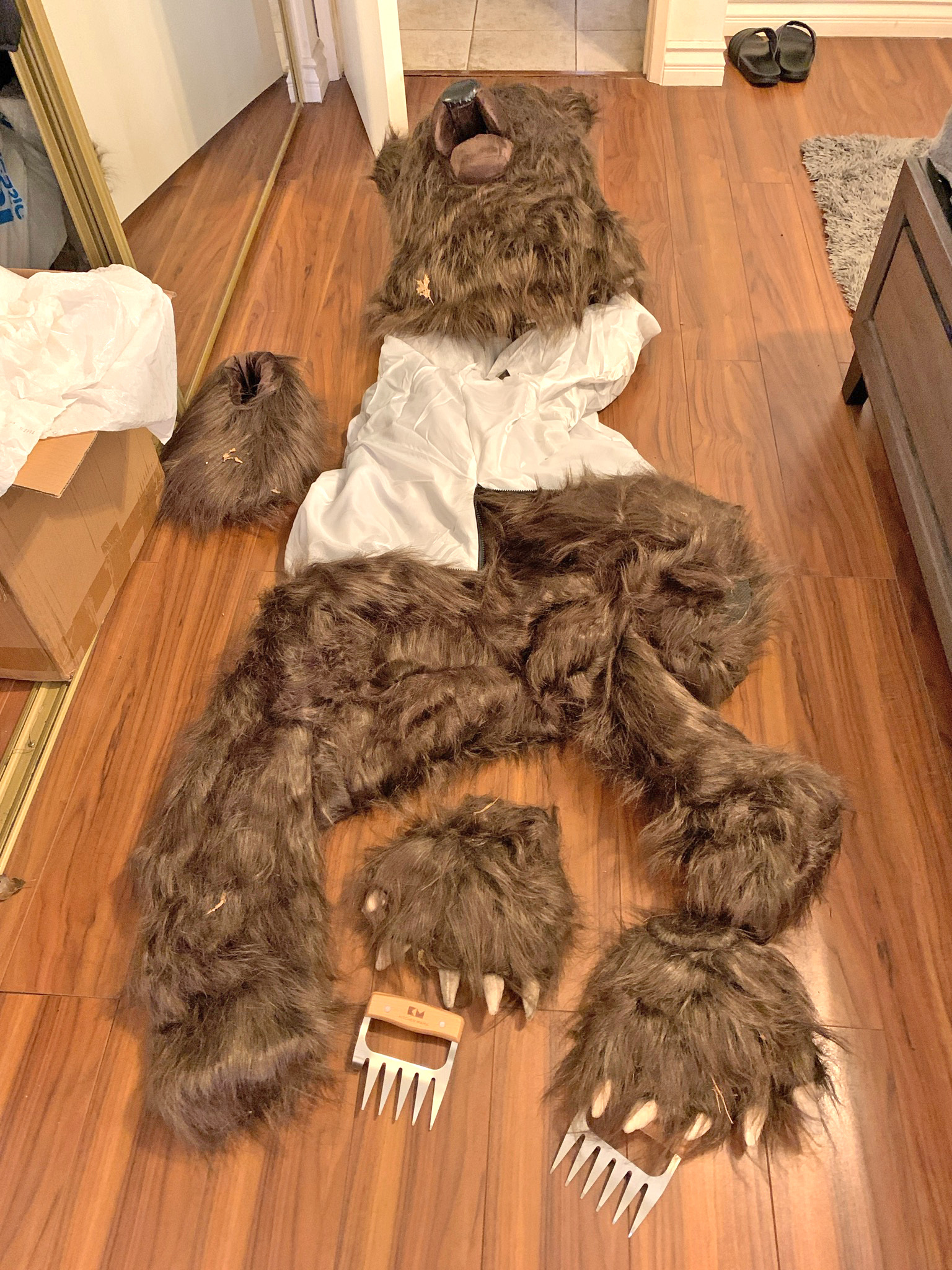 Californians In Bear Costumes Fake Rolls-Royce Attack In $142K ...
