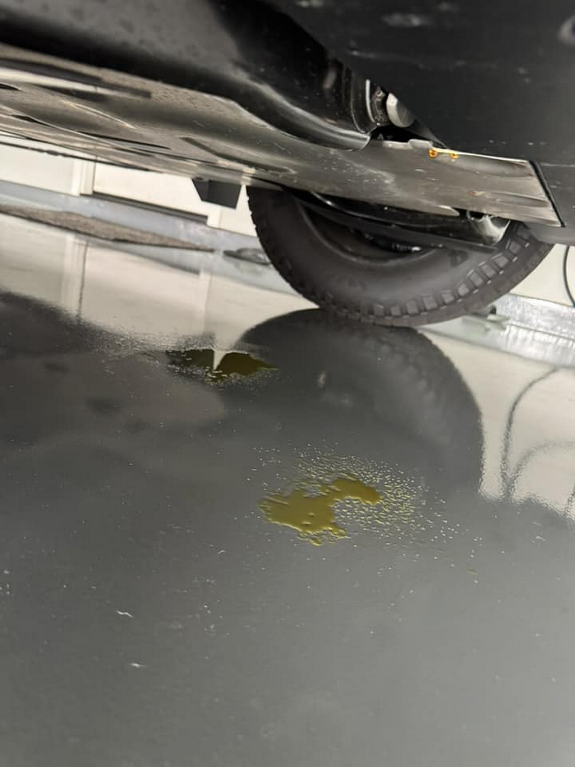 Brand New Cybertruck Leaks Oil After 3 Days, Tesla Needs A Month To Fix ...